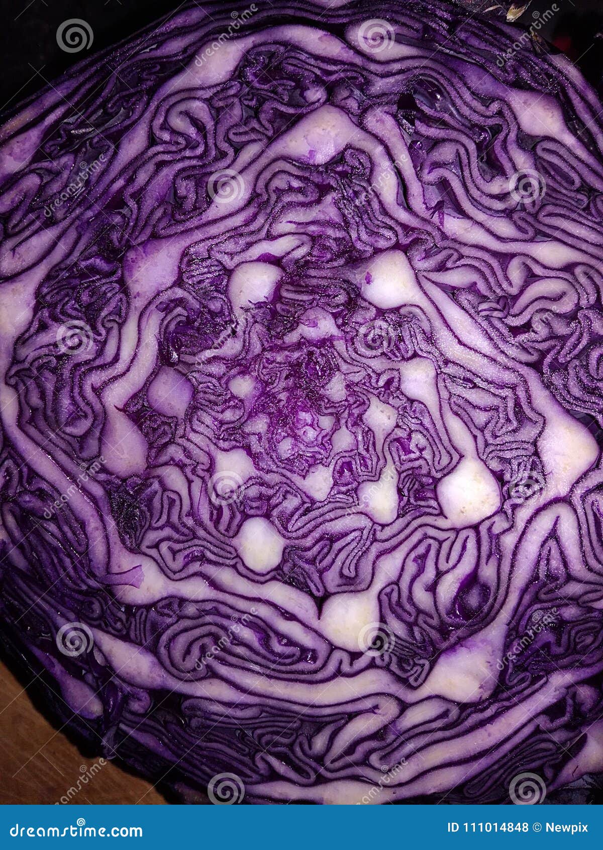 Rode kool stock foto. Image of kool, fractal, rood, purper - 111014848