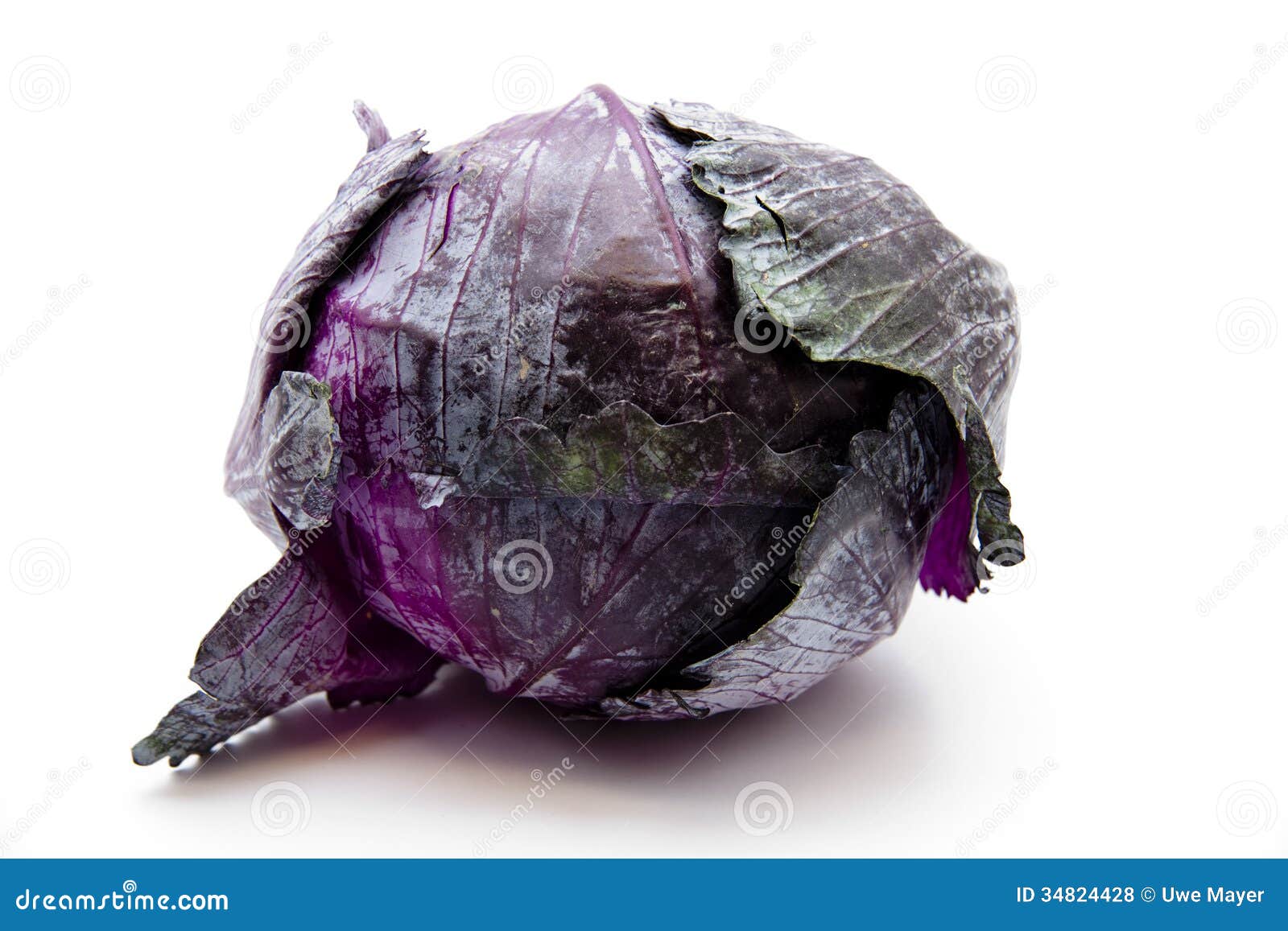 Rode kool stock foto. Image of rood, voedsel, viooltje - 34824428