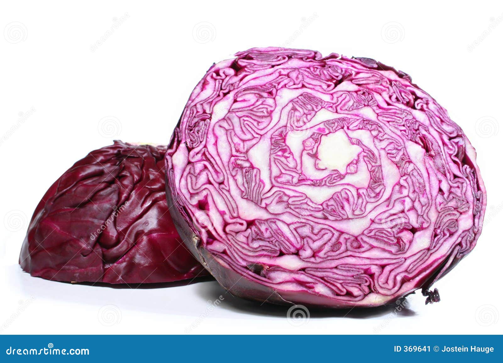 Rode Kool stock afbeelding. Image of gezond, plantaardig - 369641