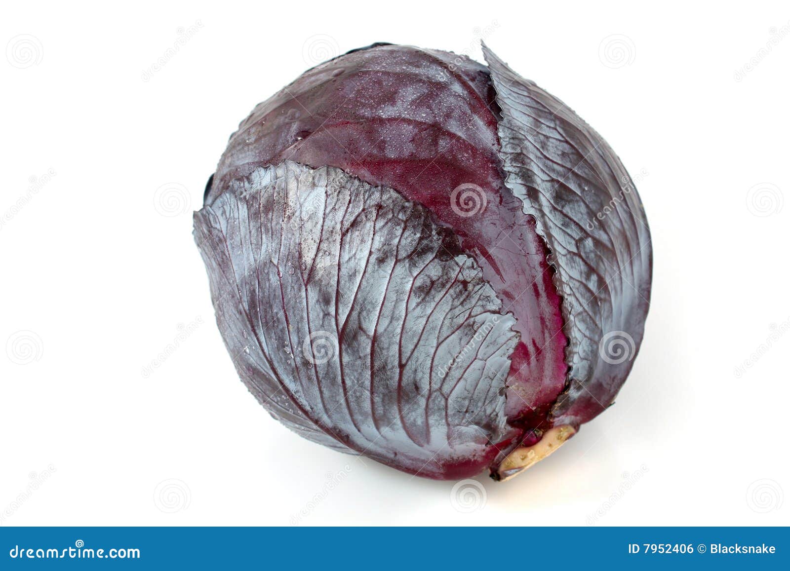 Rode Kool Plantaardig Voedsel Stock Foto - Image of purper, gezondheid ...