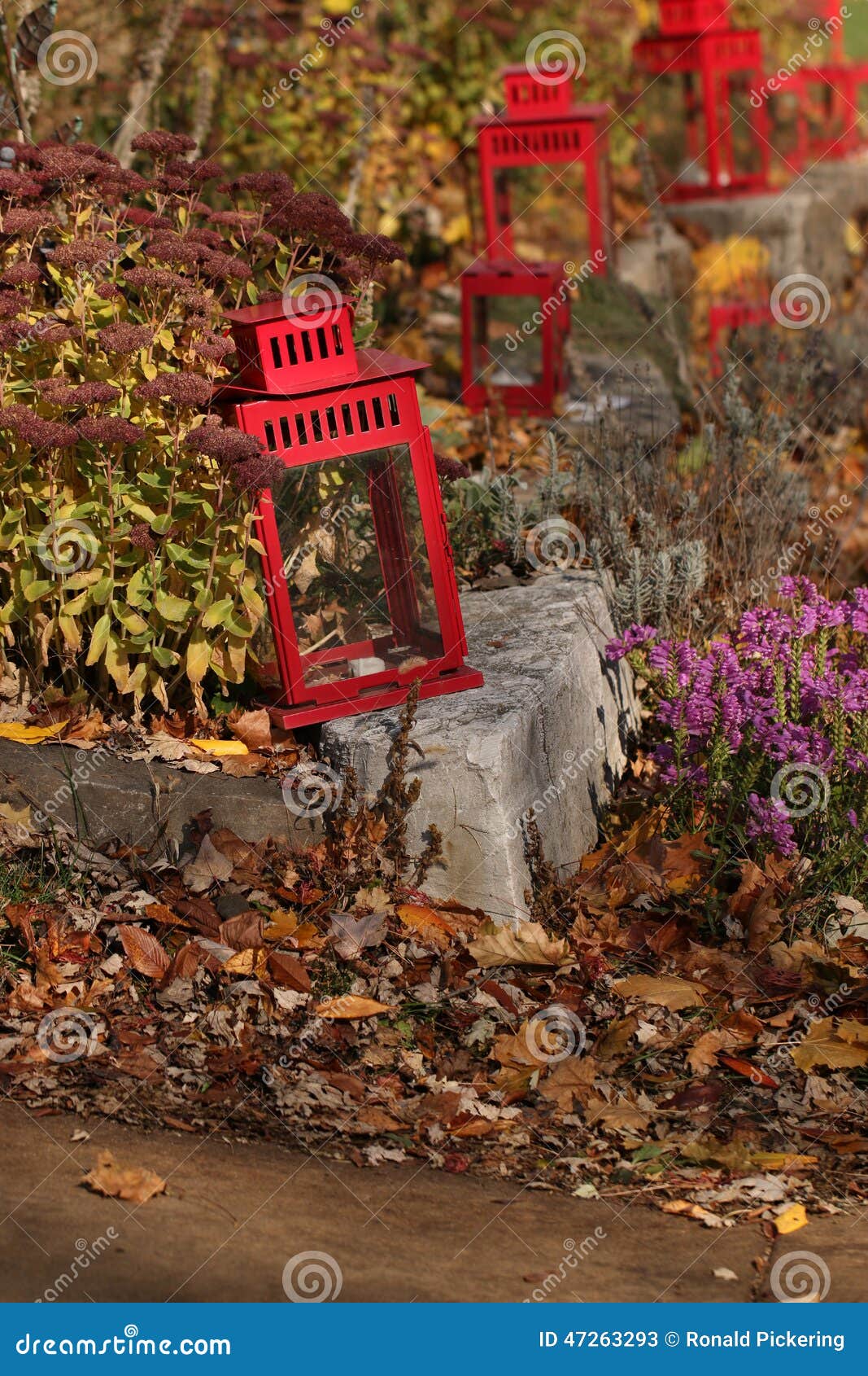 Rode Lantaarn in Daling 2 stock afbeelding. Image of lantaarns - 47263293