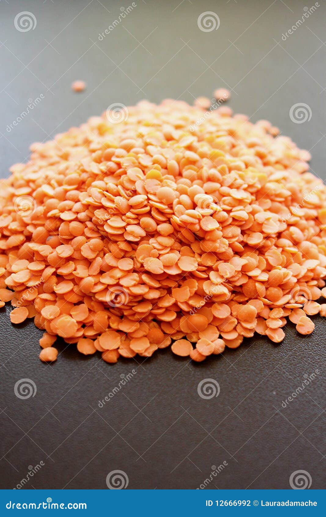 Rode Linze stock foto. Image of macro, licht, linze, rood - 12666992