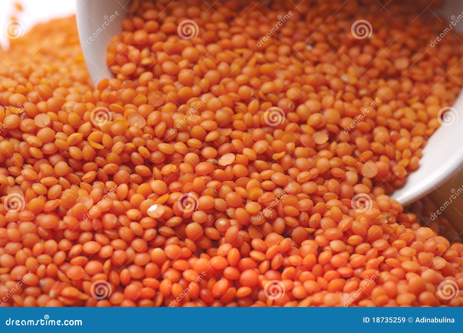Rode Linzen Picture. Image: 18735259
