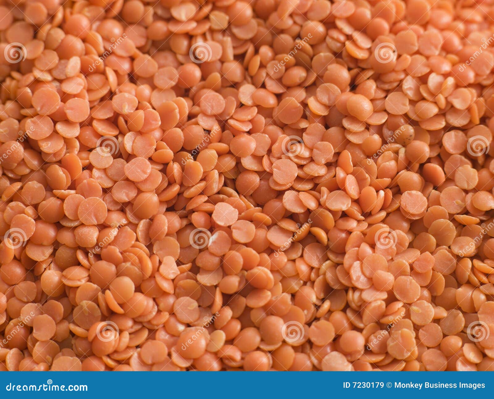 Rode Linzen stock afbeelding. Image of studio, kleur, mensen - 7230179