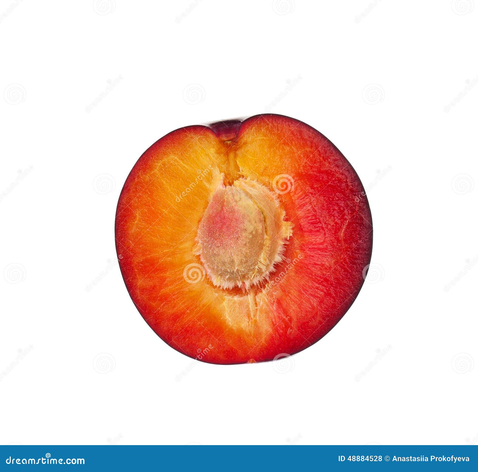 Rode pruim stock foto. Image of voedzaam, oogst, voedsel - 48884528