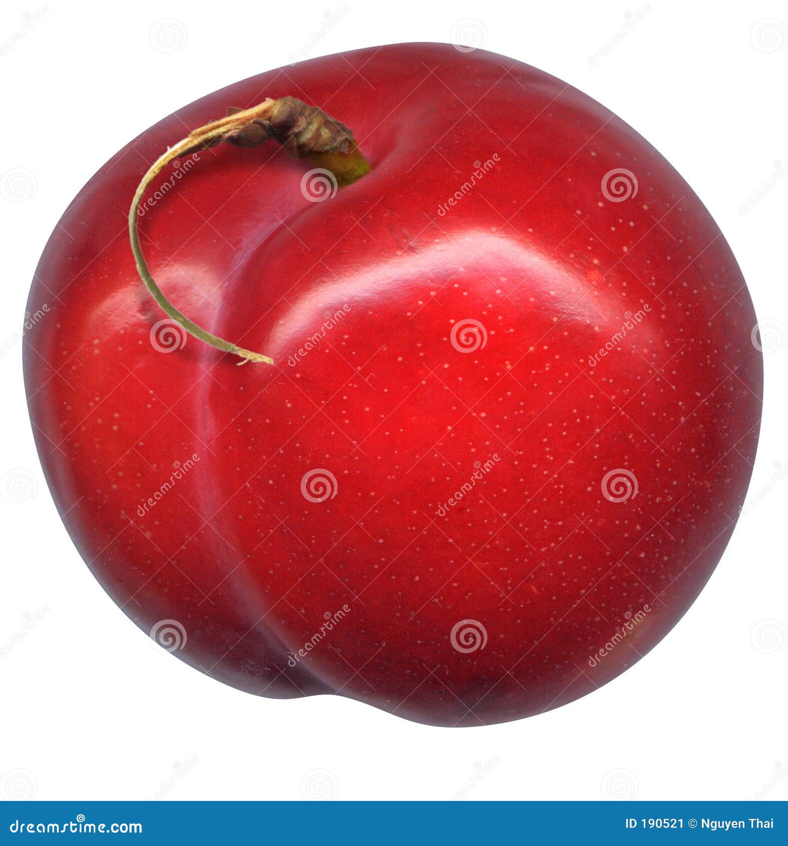 Rode pruim met stam stock afbeelding. Afbeelding bestaande uit bloos ...