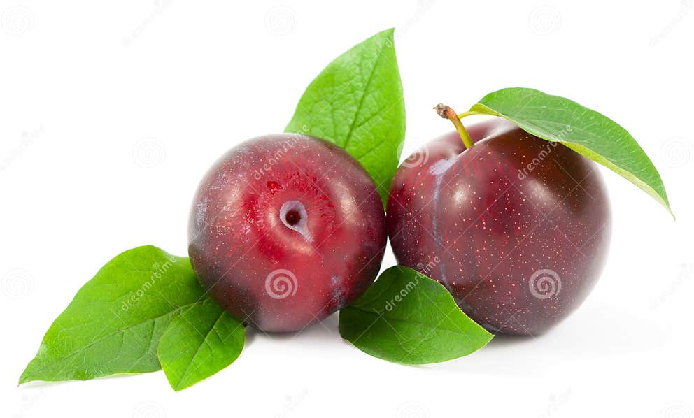 Rode pruimen met bladeren stock foto. Image of enkelvoudig - 62569220