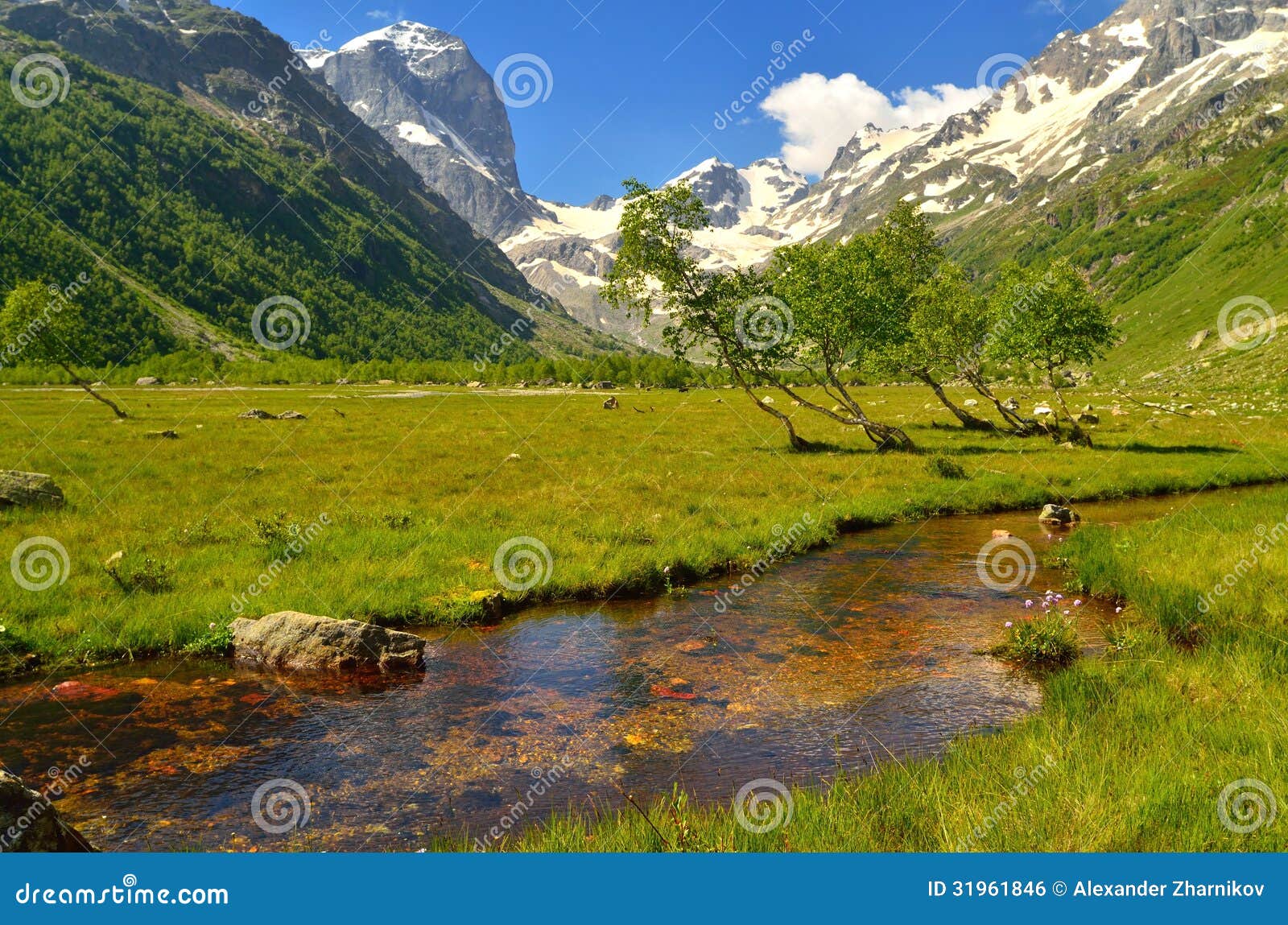 Rode rivier stock foto. Image of gras, groen, gazon, uitstekend - 31961846