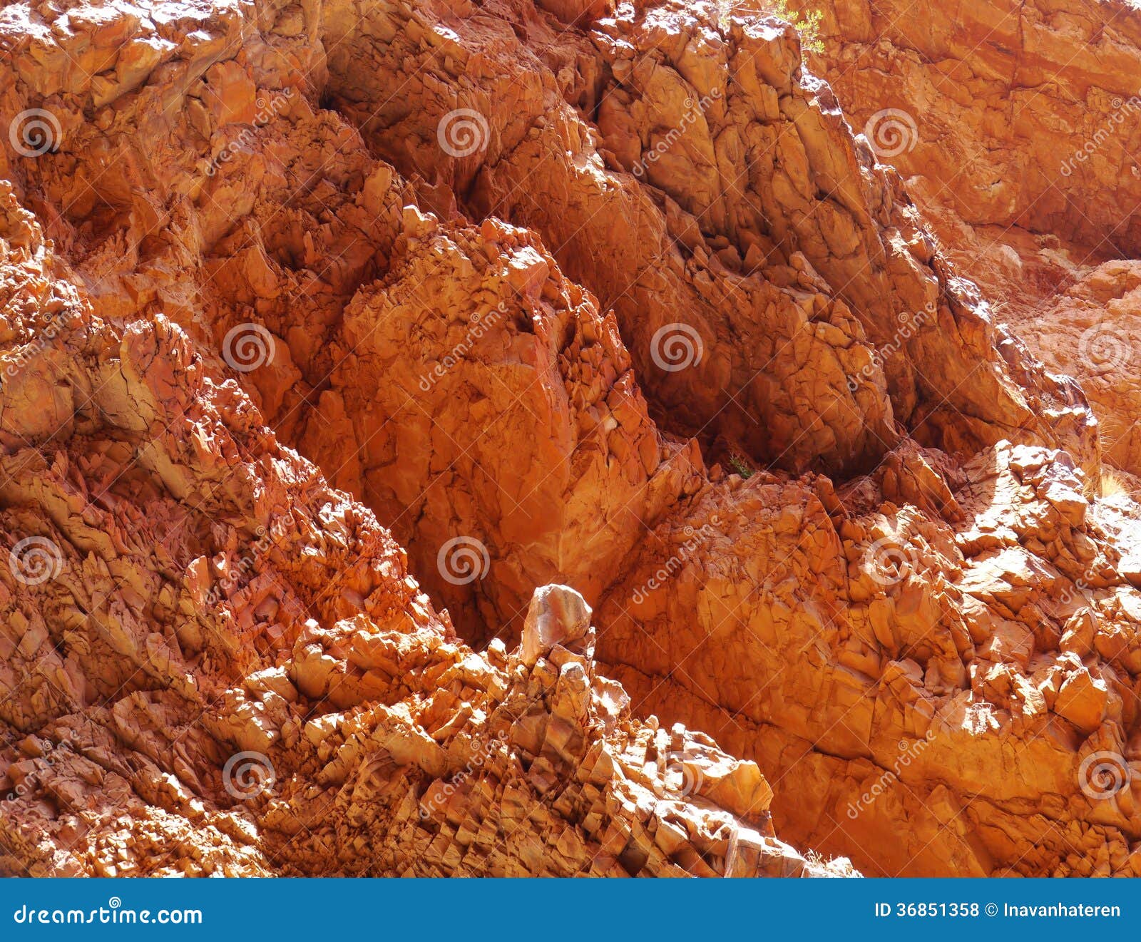 Rode Rots in Ellery-kreek Groot Gat Stock Foto - Image of landschap ...