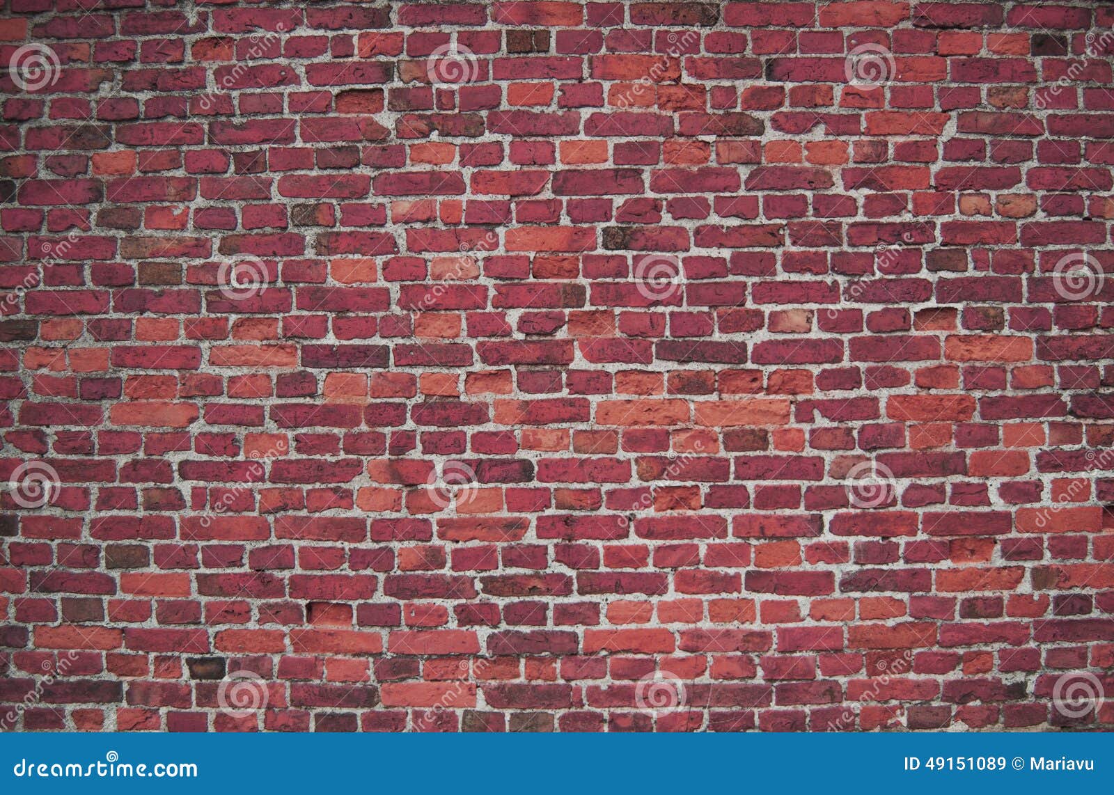 Rode/roze Muur (achtergrond, Behang, Bakstenen) Stock Afbeelding ...