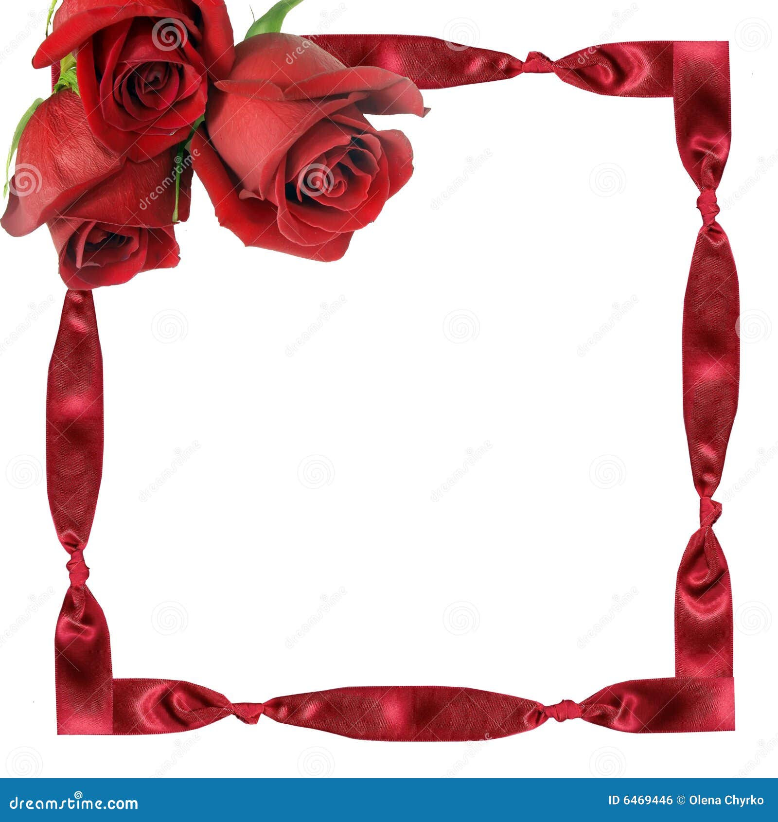 Rode Rozen Op Kader Van Een Band Met Knopen Stock Foto - Image of ...