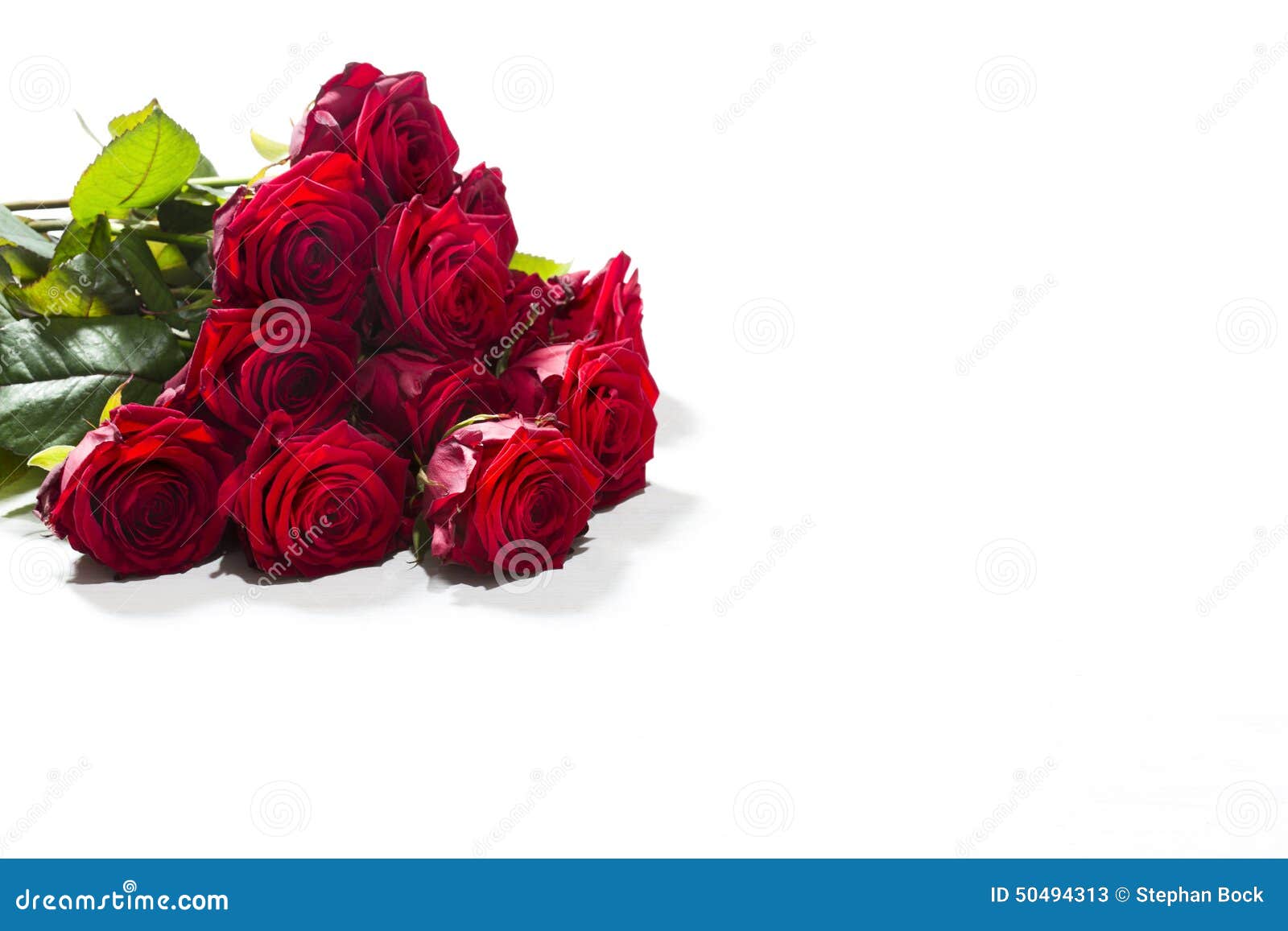 Rode Rozen Op Witte Achtergrond Stock Afbeelding - Image of rozen ...