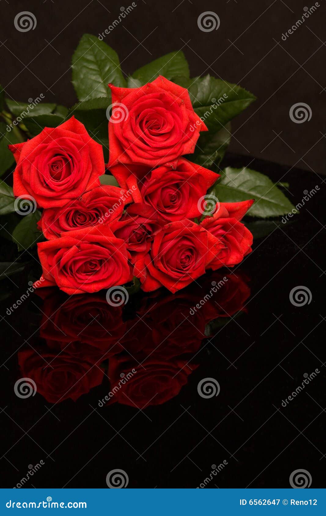 Rode rozen op zwarte stock afbeelding. Image of heden - 6562647
