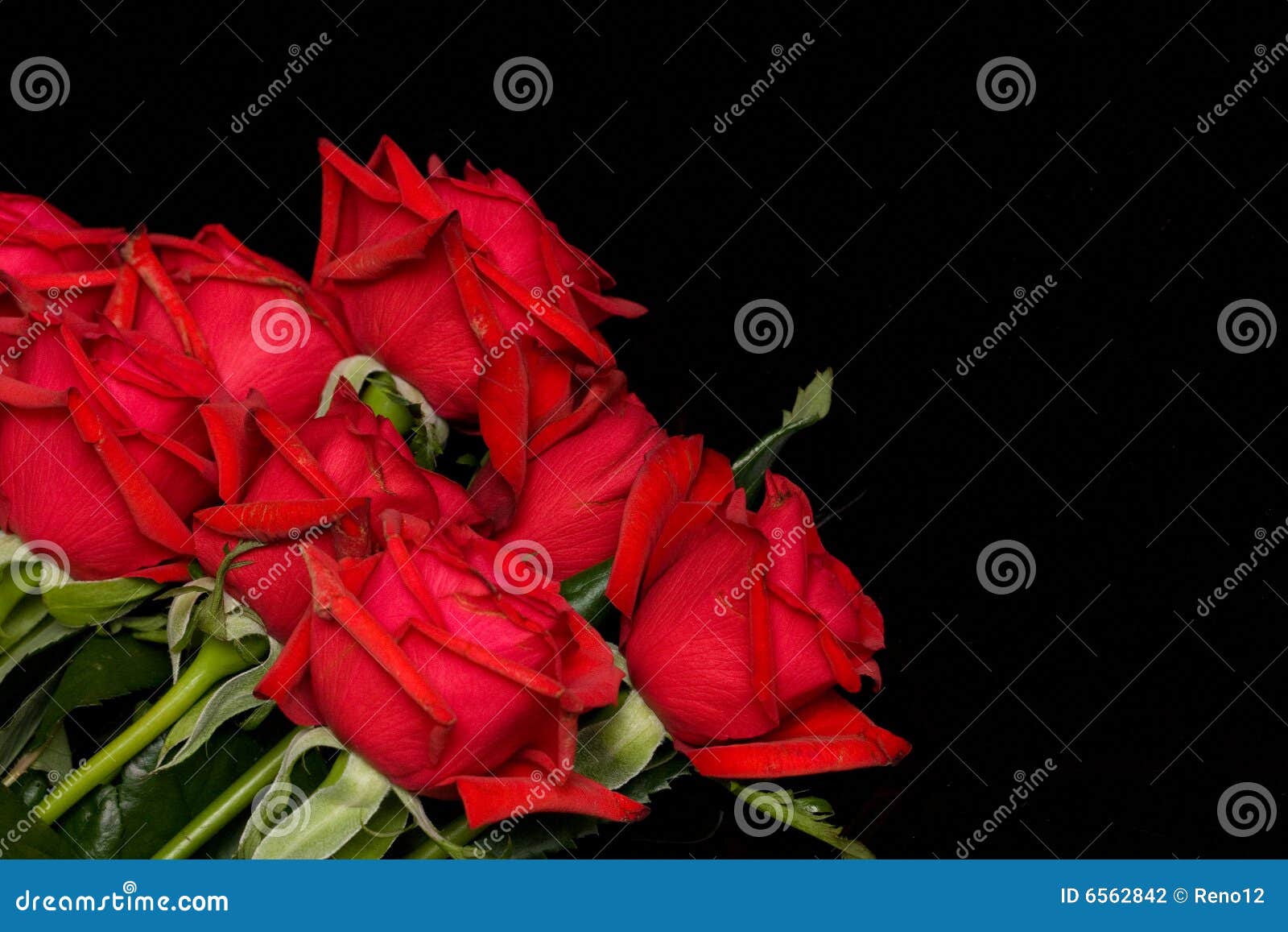 Rode rozen op zwarte stock foto. Image of mooi, bloem - 6562842