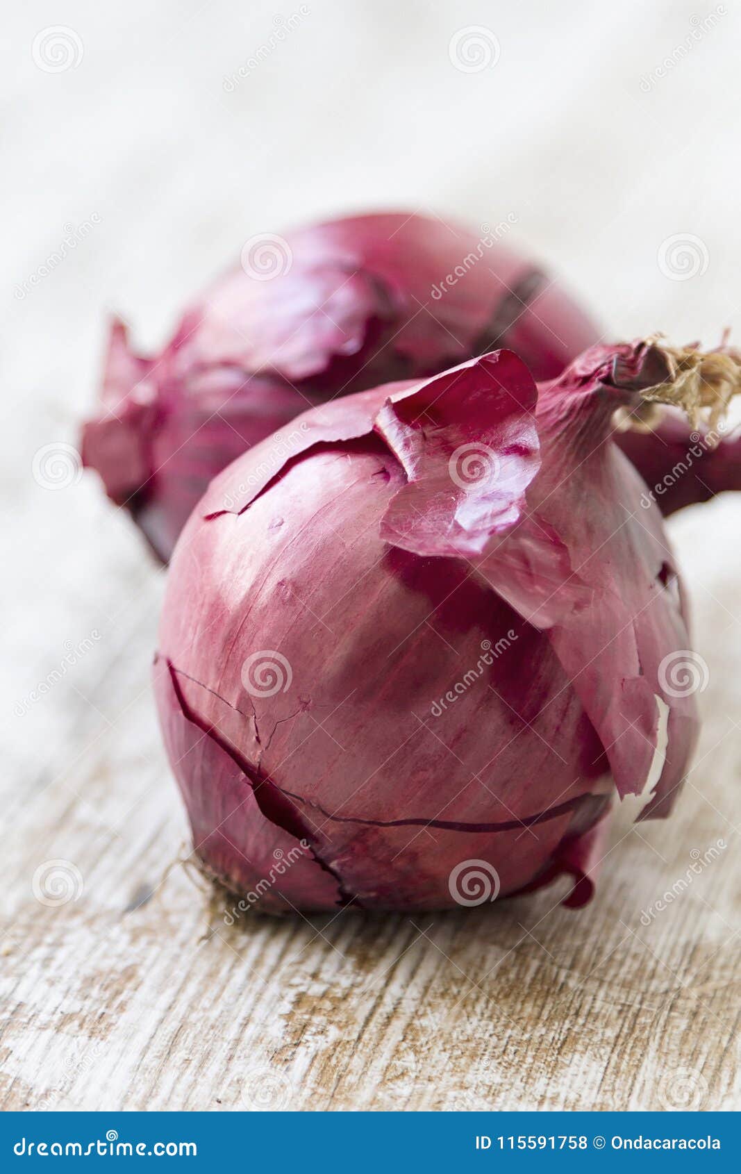 Rode rustieke uien stock foto. Image of gezond, culinair - 115591758