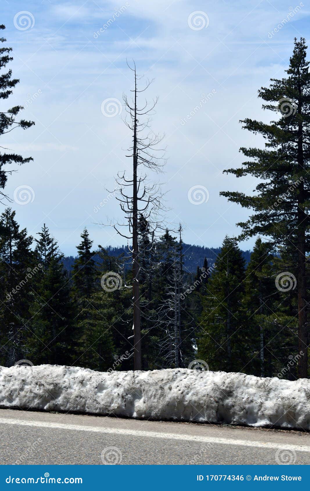 Rode Side in the Mountains in Snow Stock Photo - Image of rode, nature ...