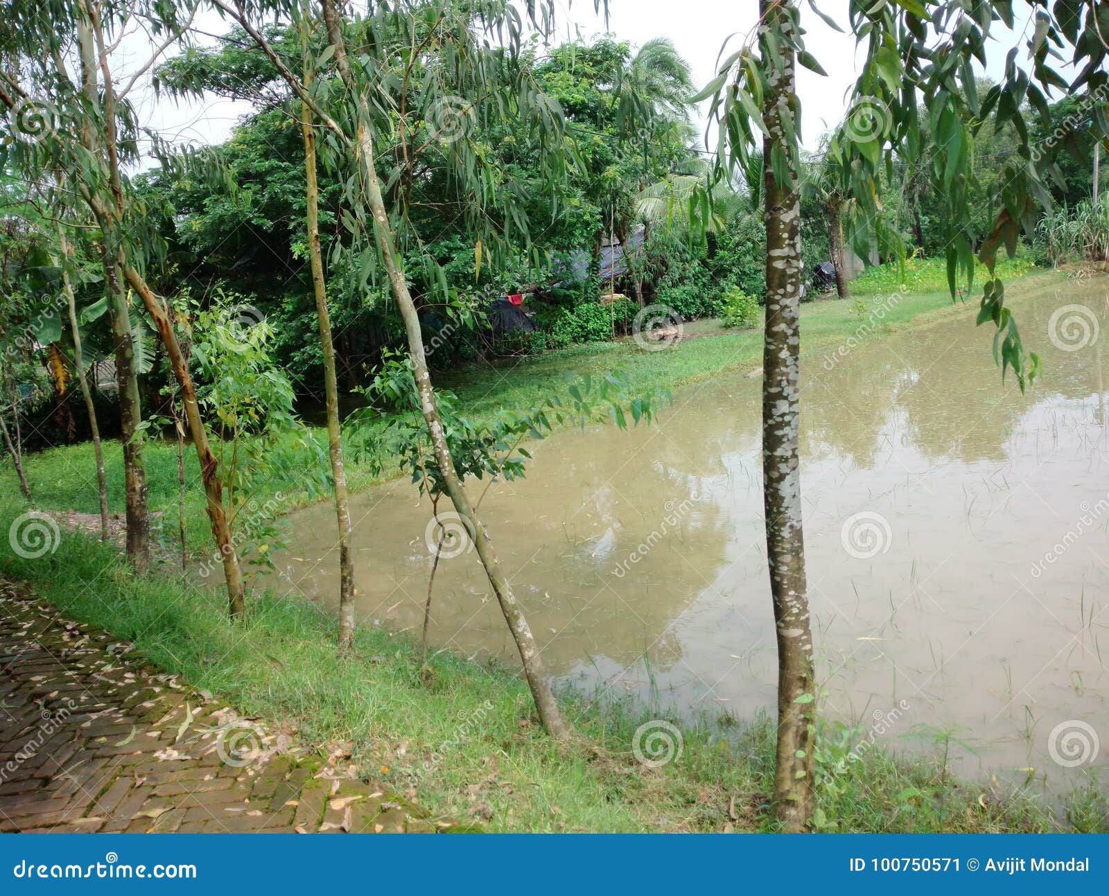 Rode side pond stock image. Image of side, rode, pond - 100750571