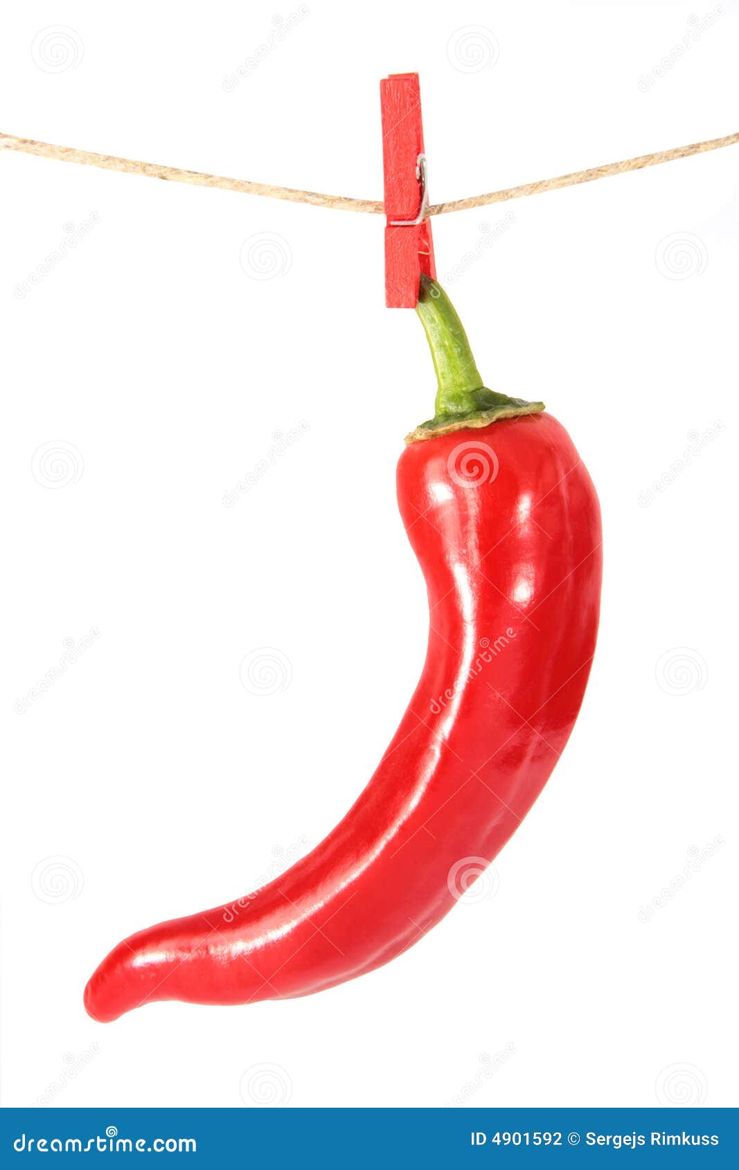 Rode Spaanse Peper Picture. Image: 4901592