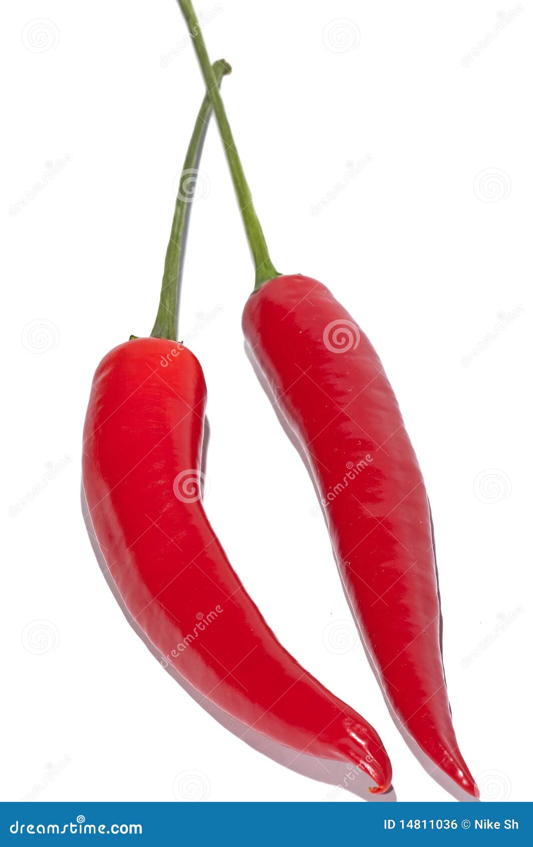 Rode Spaanse pepers stock foto. Image of hitte, hongerig - 14811036