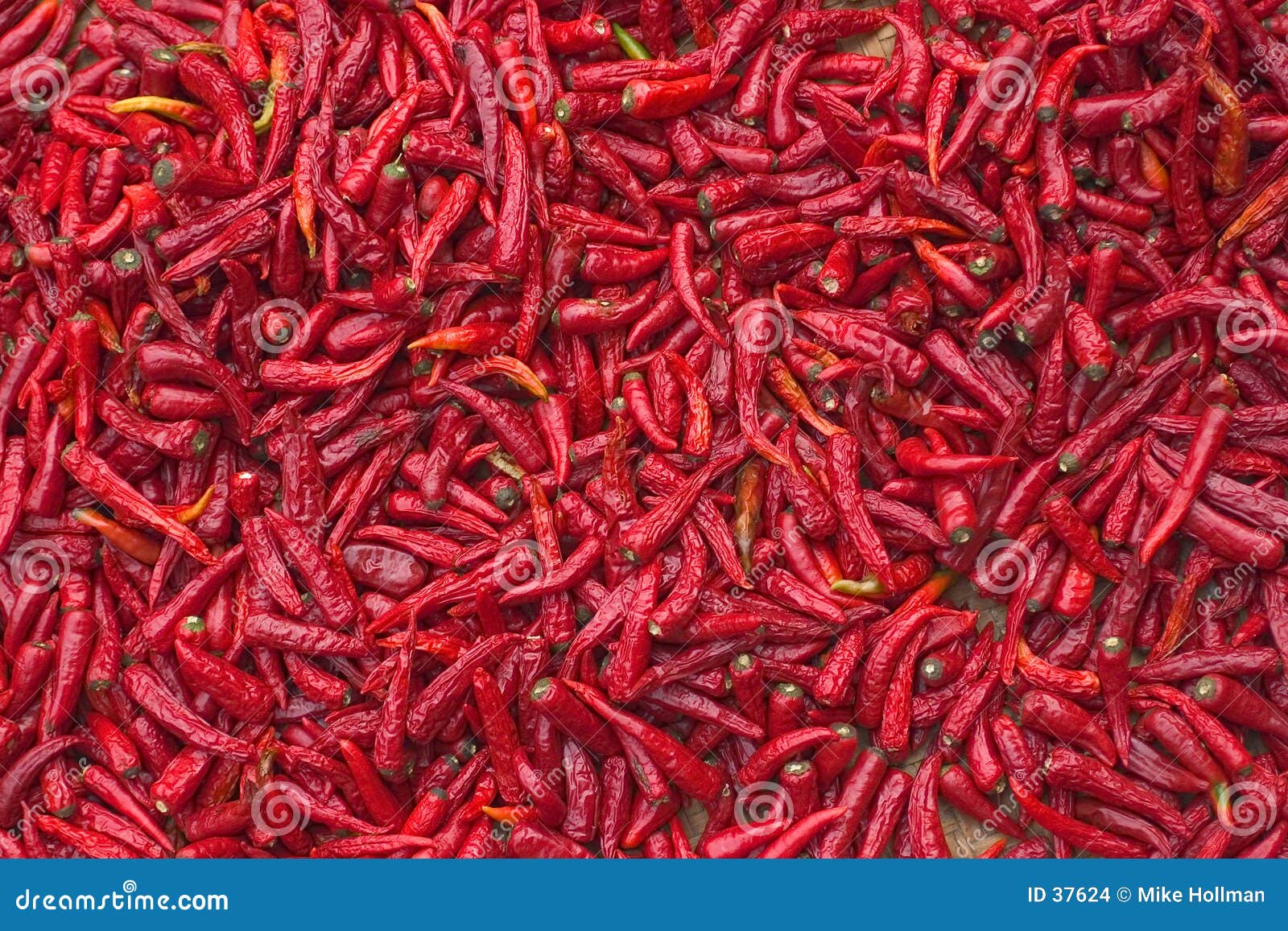 Rode Spaanse pepers stock foto. Image of kruid, scherp, kruiden - 37624