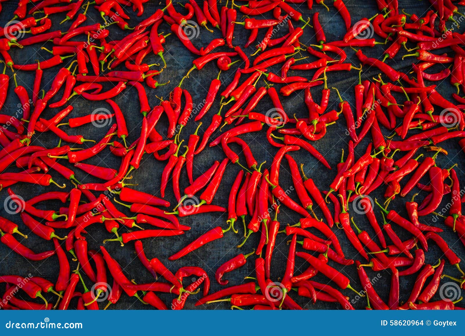 Rode Spaanse pepers stock foto. Image of chili, droog - 58620964