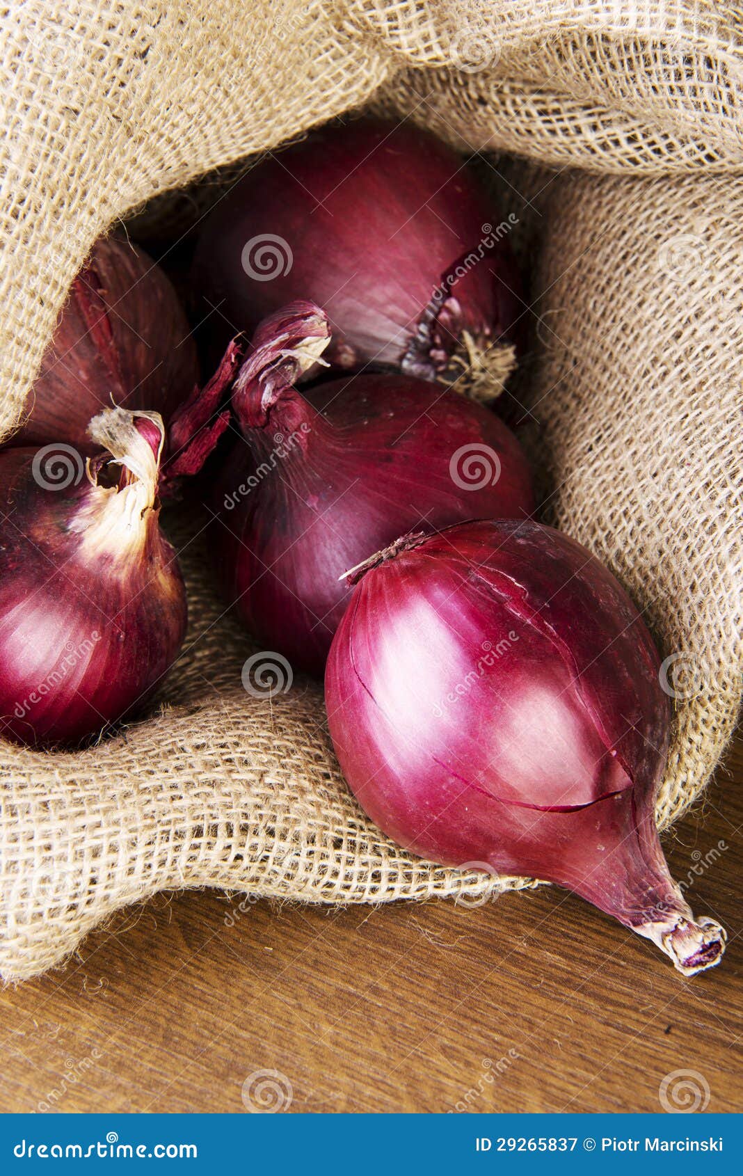 Rode ui stock afbeelding. Image of plantaardig, sisal - 29265837