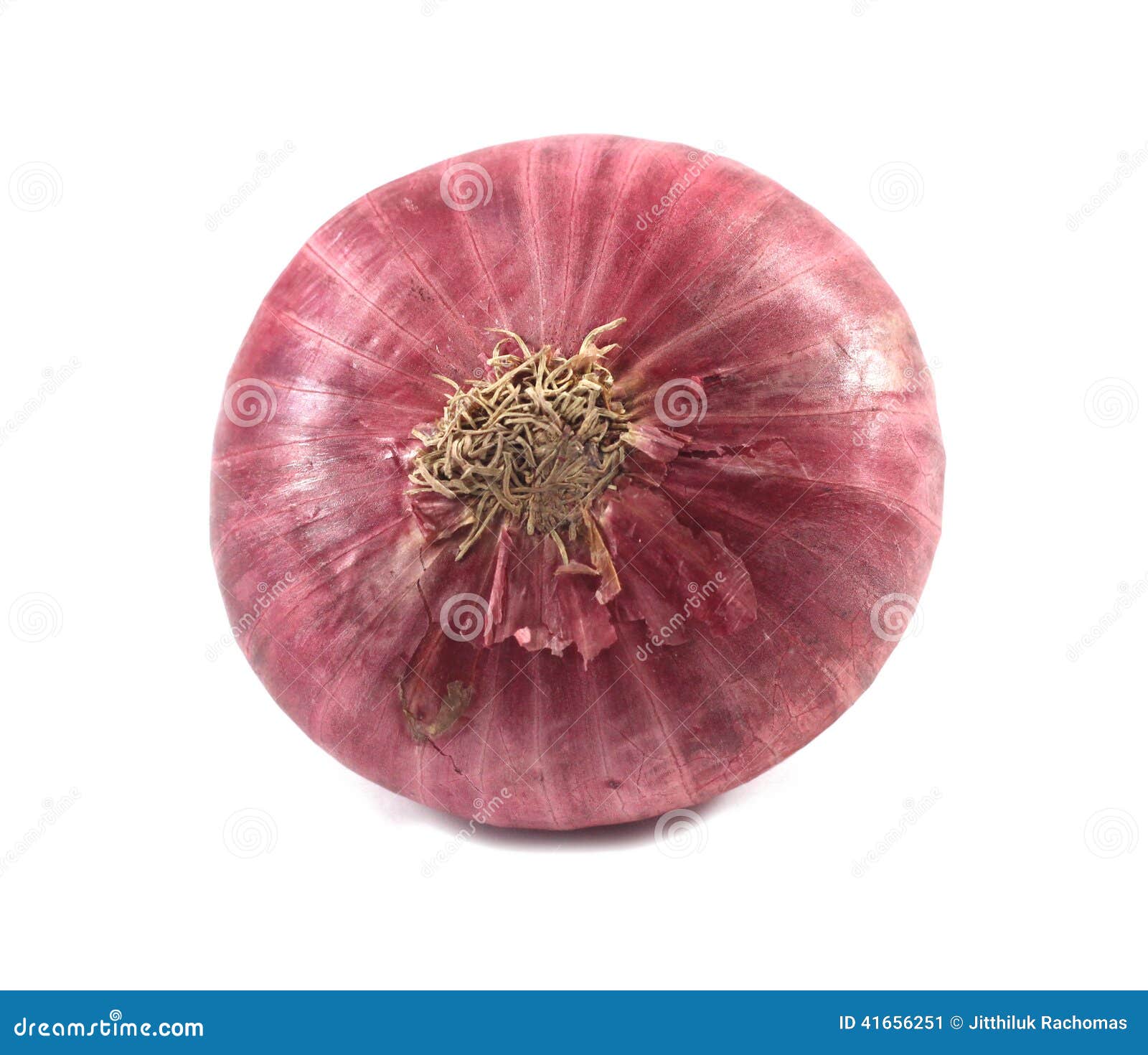 Rode Ui stock afbeelding. Image of smakelijk, aromatisch - 41656251