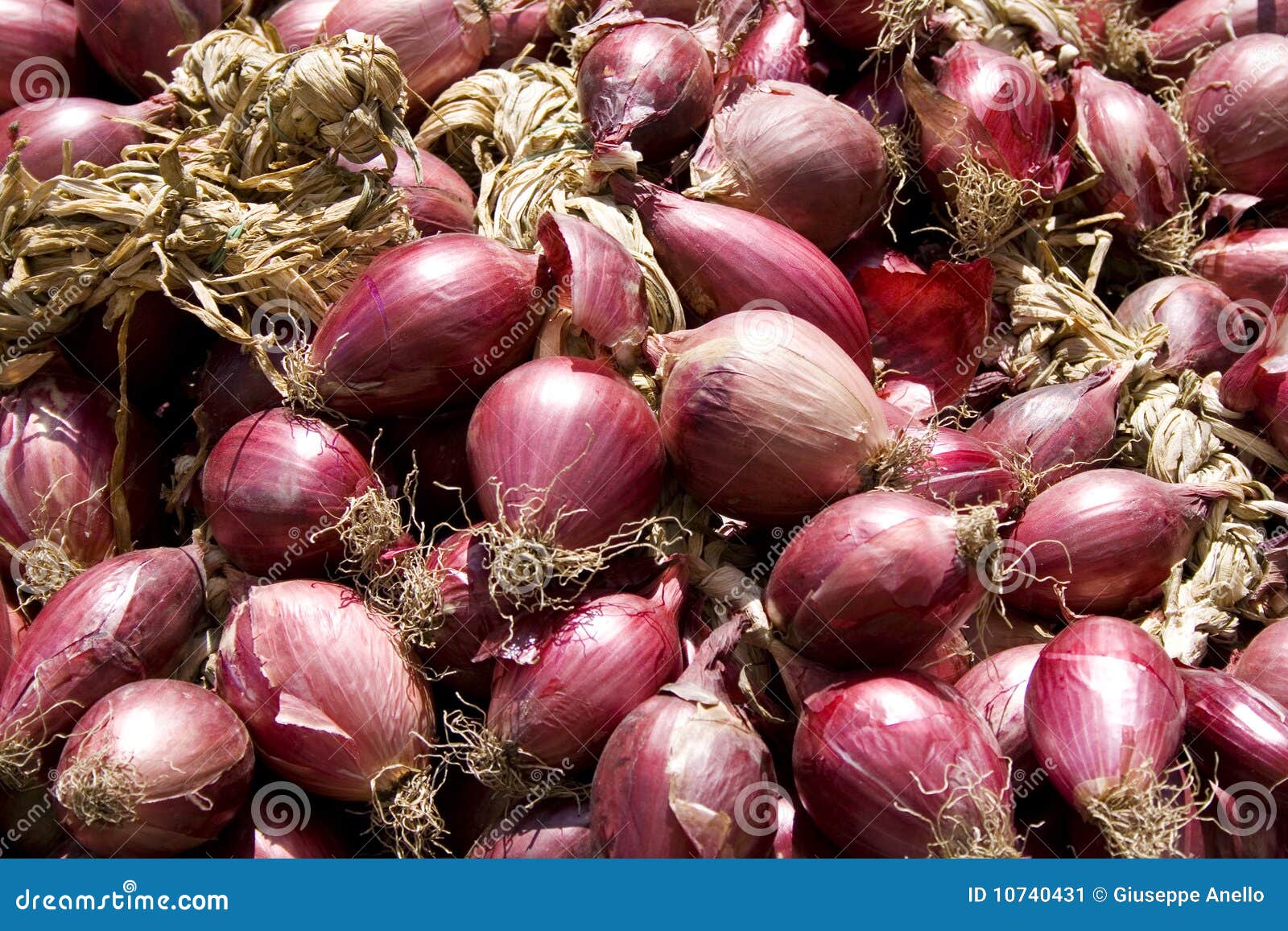 Rode uien stock afbeelding. Image of voeding, chef, maaltijd - 10740431