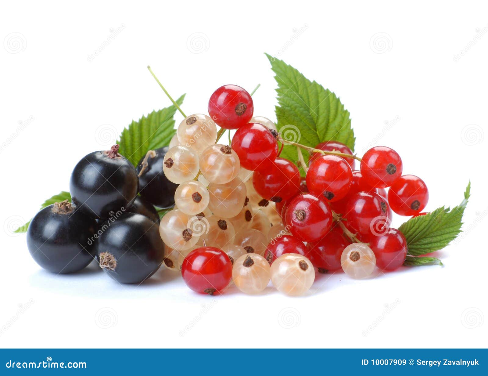 Rode wihite zwarte bes stock afbeelding. Image of vrucht - 10007909