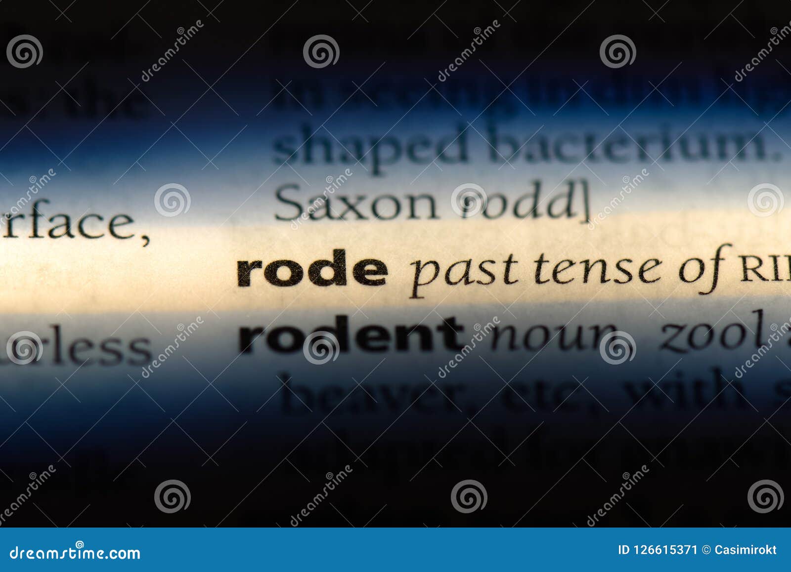 Rode stock image. Image of book, definition, page, closeup - 126615371