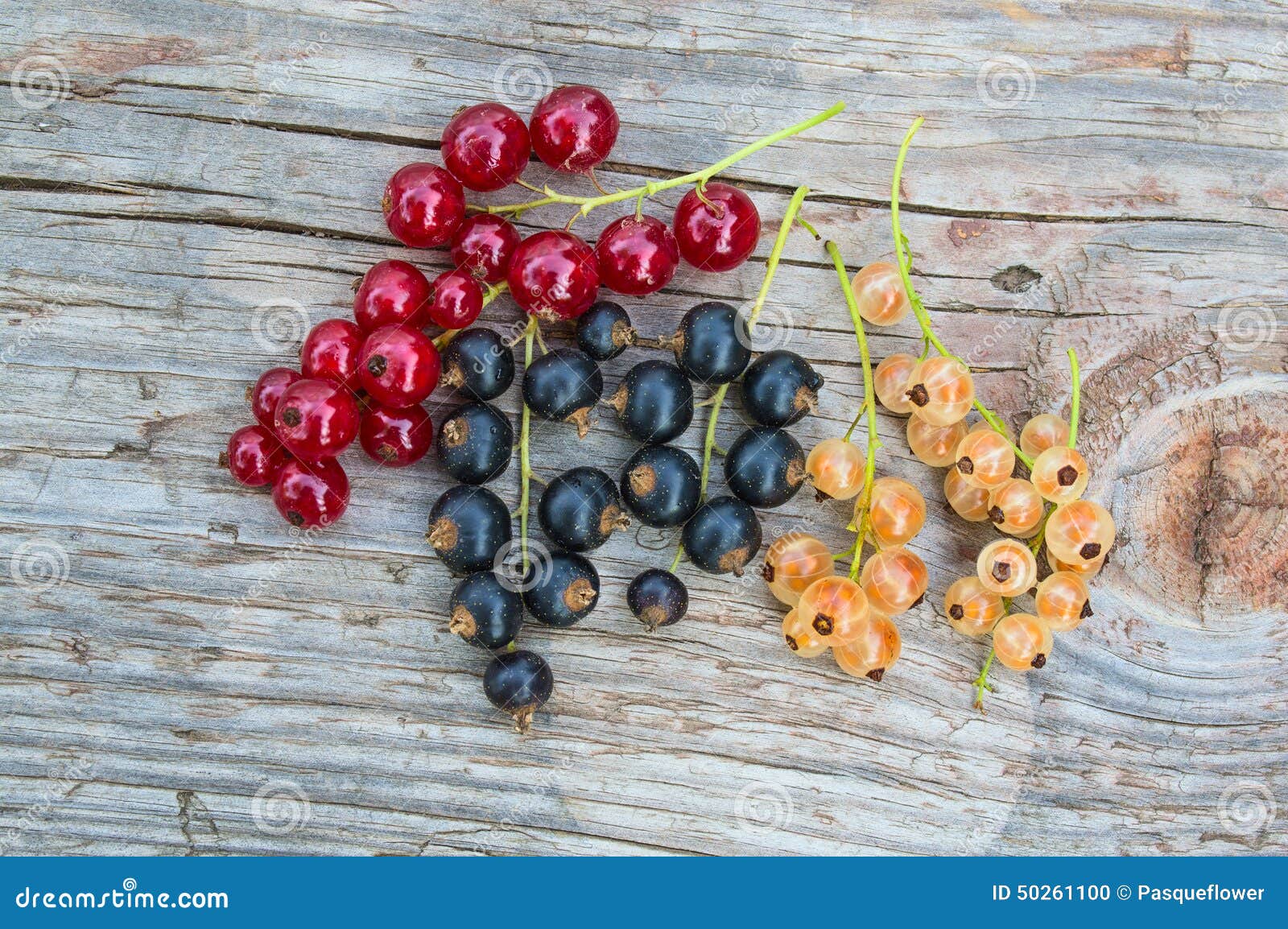 Rode, zwarte en gele bes stock foto. Image of tuin, voedsel - 50261100