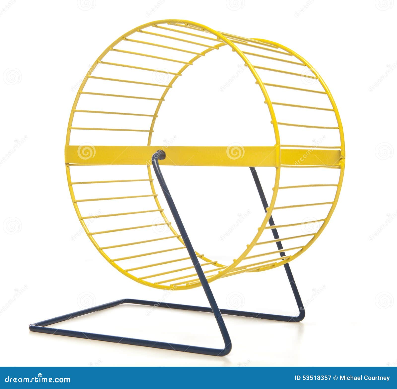 Rodent Exercise Wheel Isolated on White. Stock Image - Image of mouse ...