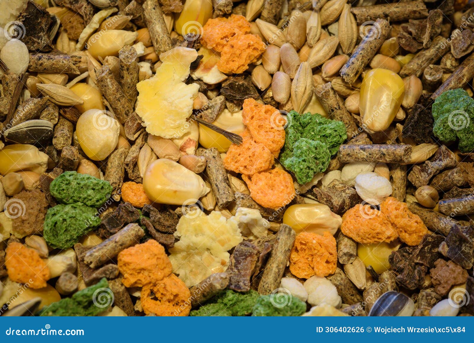 RODENT FOOD stock photo. Image of vegetable, small, texture - 306402626