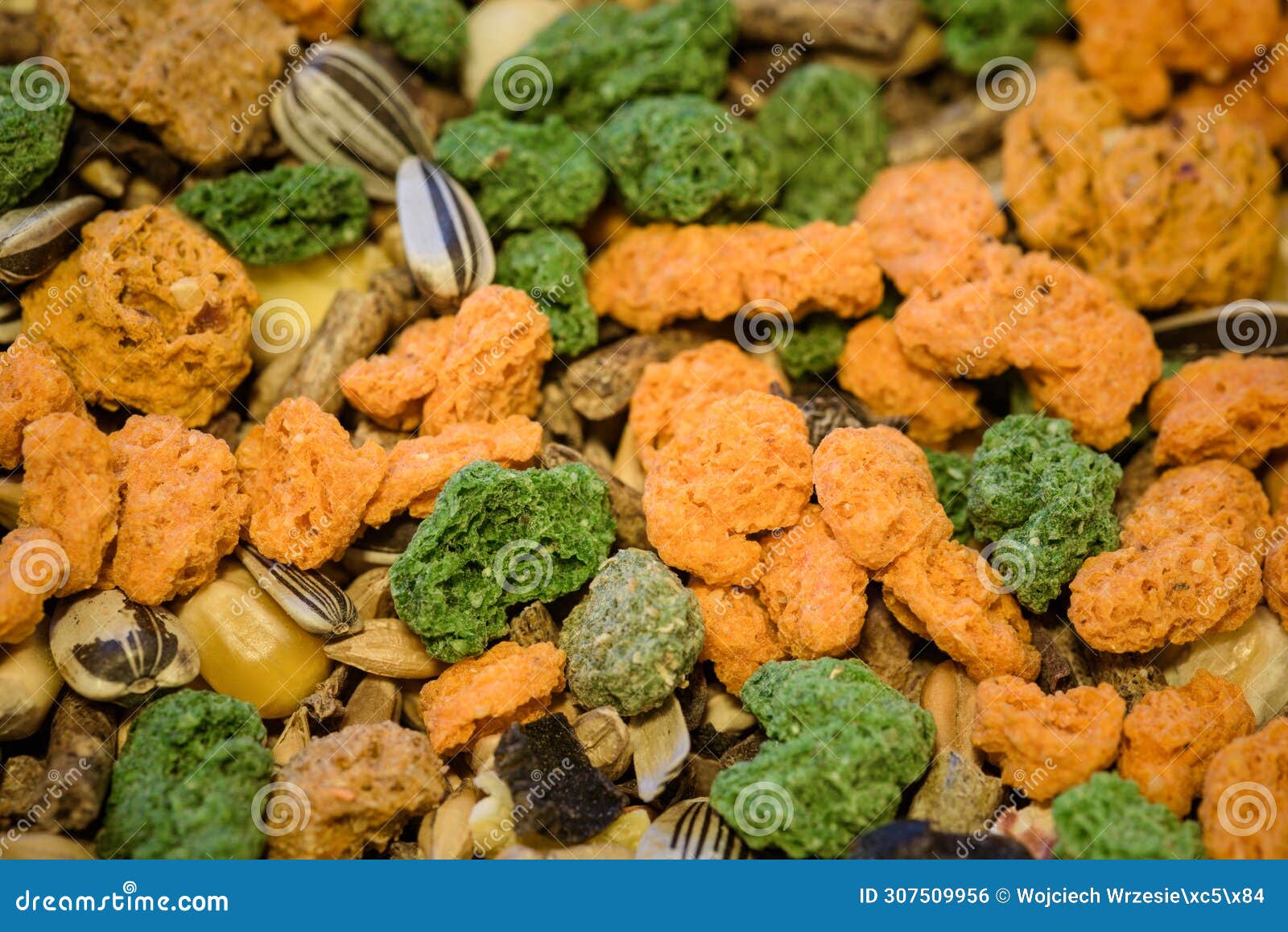 RODENT FOOD stock photo. Image of vegetable, domestic - 307509956