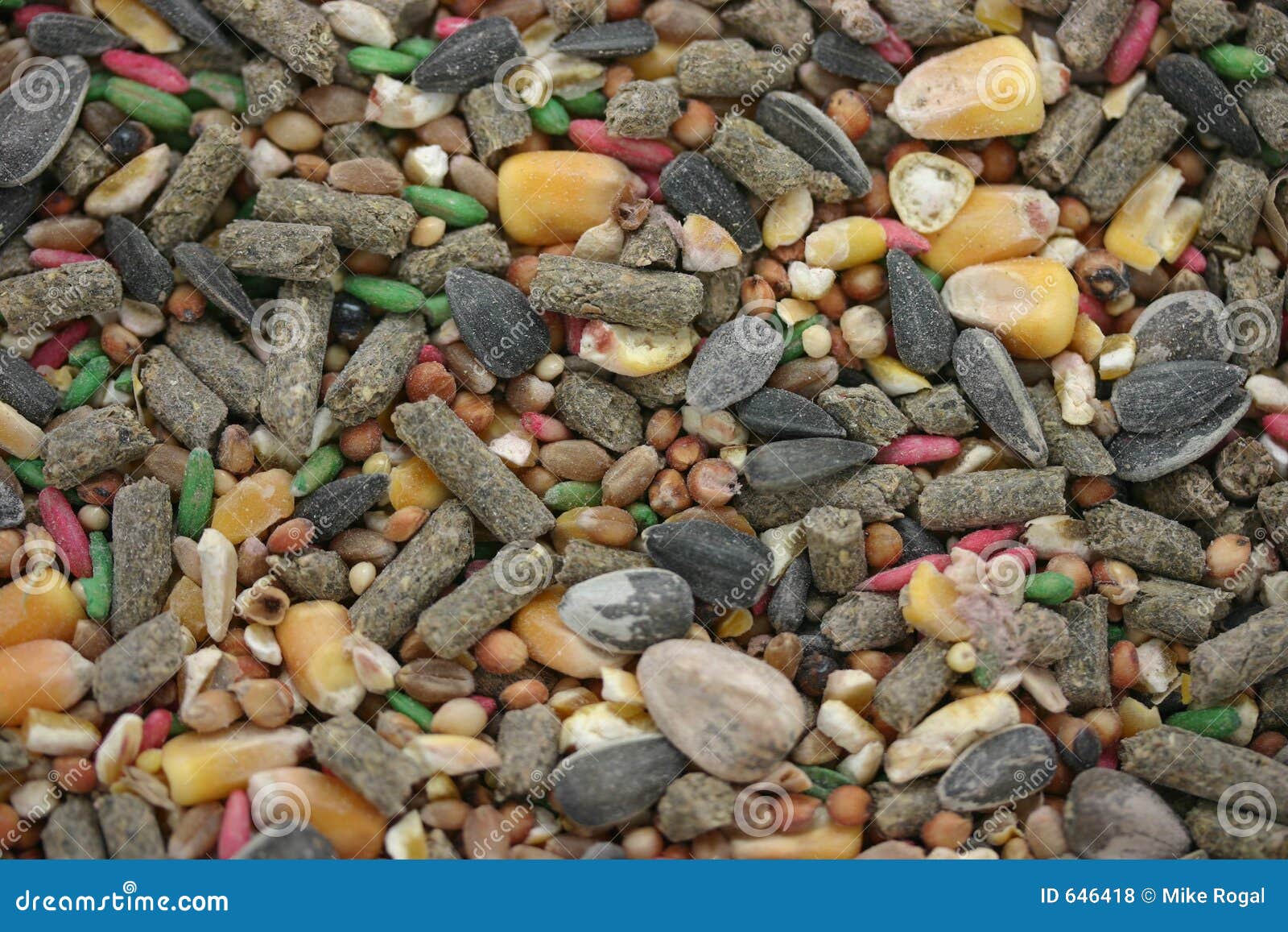 Rodent food mix stock photo. Image of chinchilla, nutrients - 646418