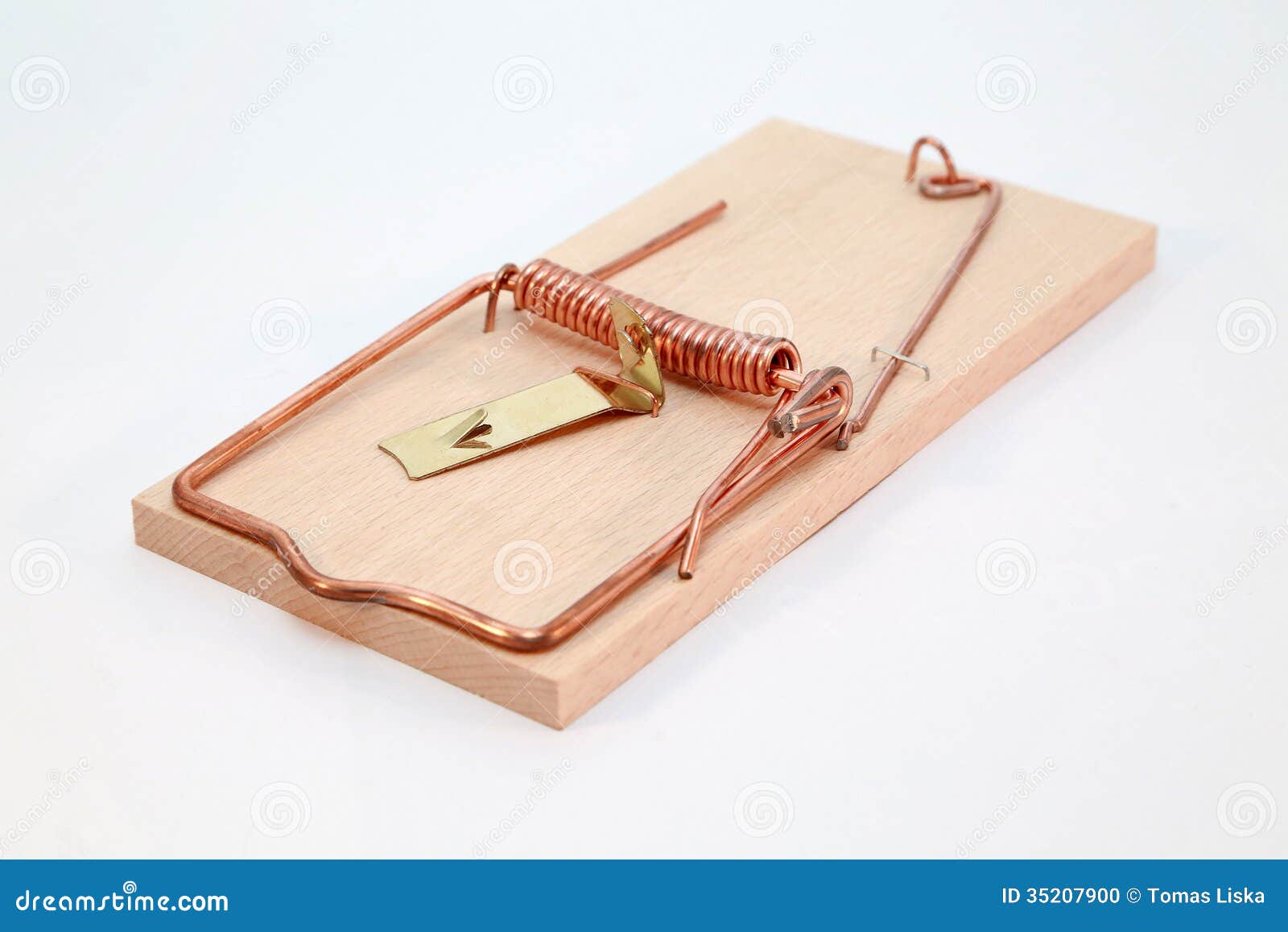 Mouse Trap Royalty-Free Stock Photo | CartoonDealer.com #15901215