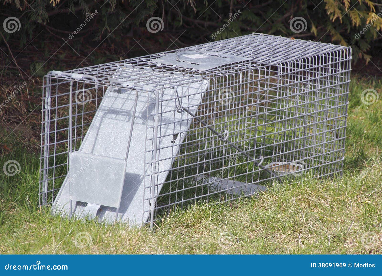 Rodent Trap stock image. Image of door, trap, entrapment - 38091969