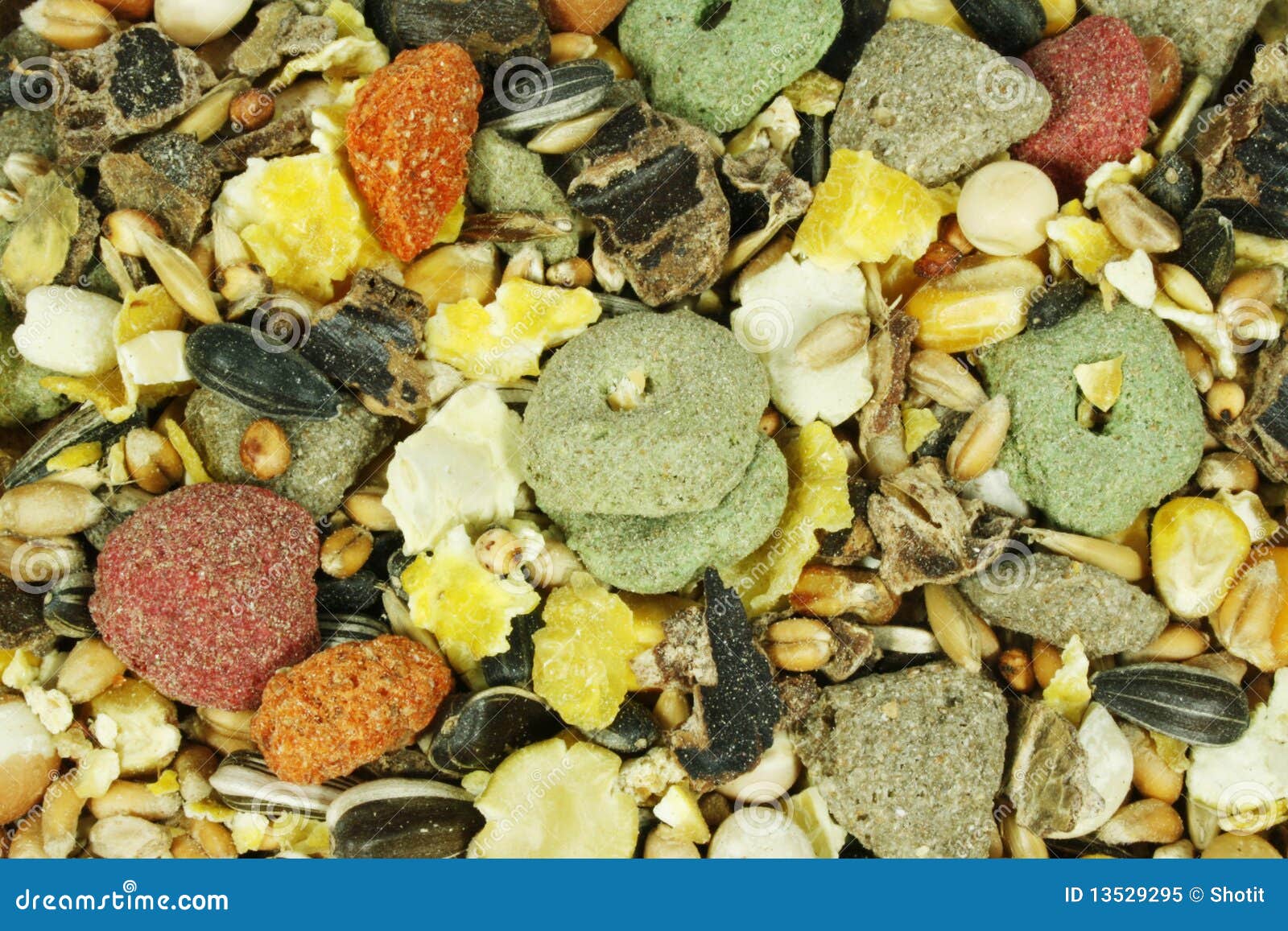 Rodents food stock image. Image of small, gerbil, corn - 13529295