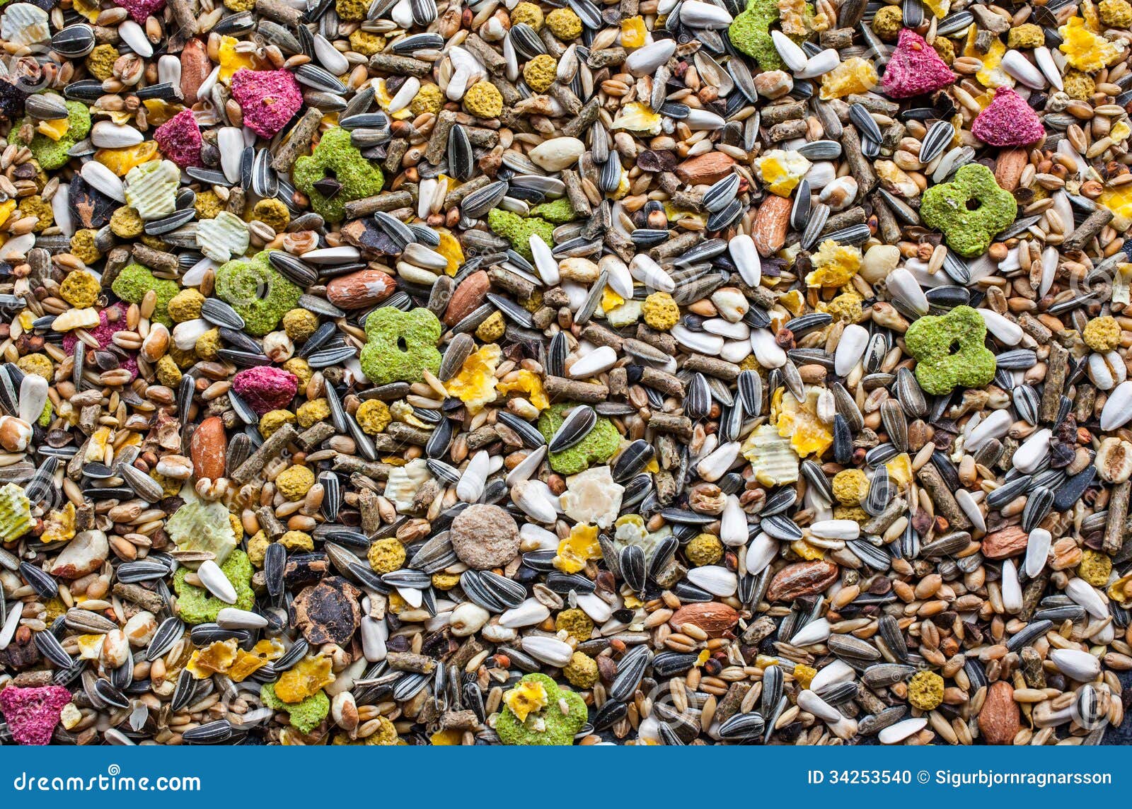 Rodents food stock photo. Image of seeds, rabbit, domestic - 34253540