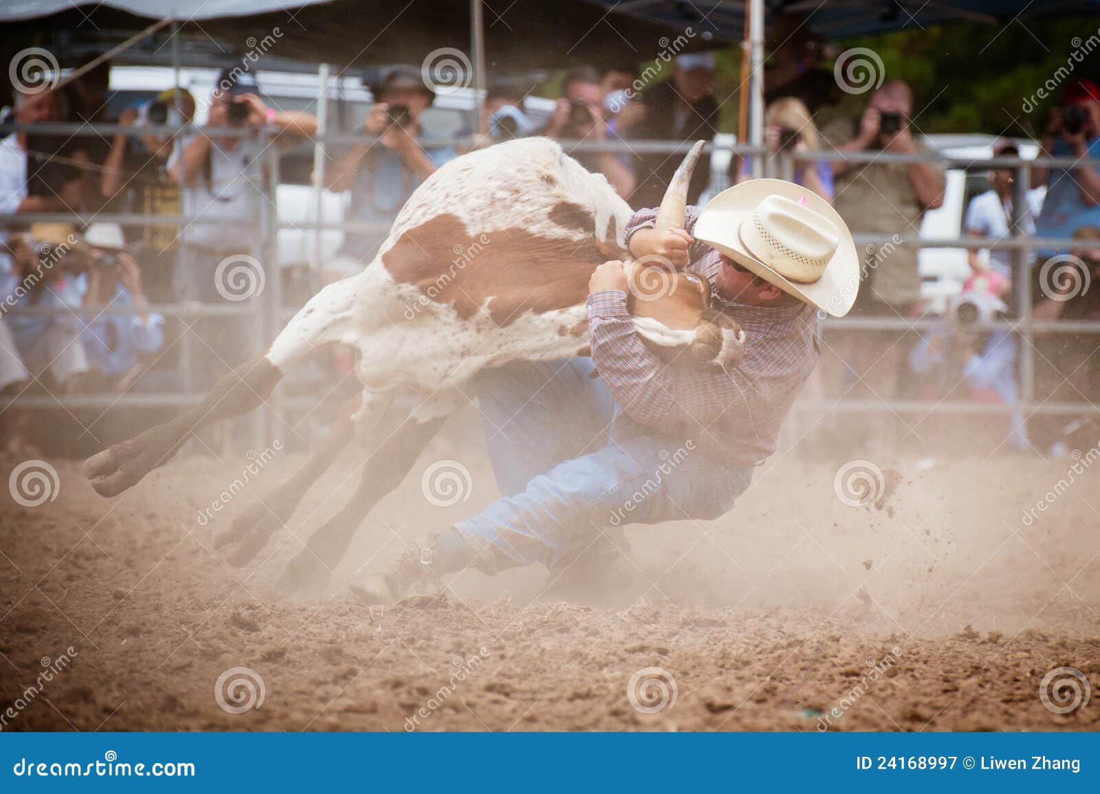 Rodeo editorial photography. Image of taralga, rodeo - 24168997