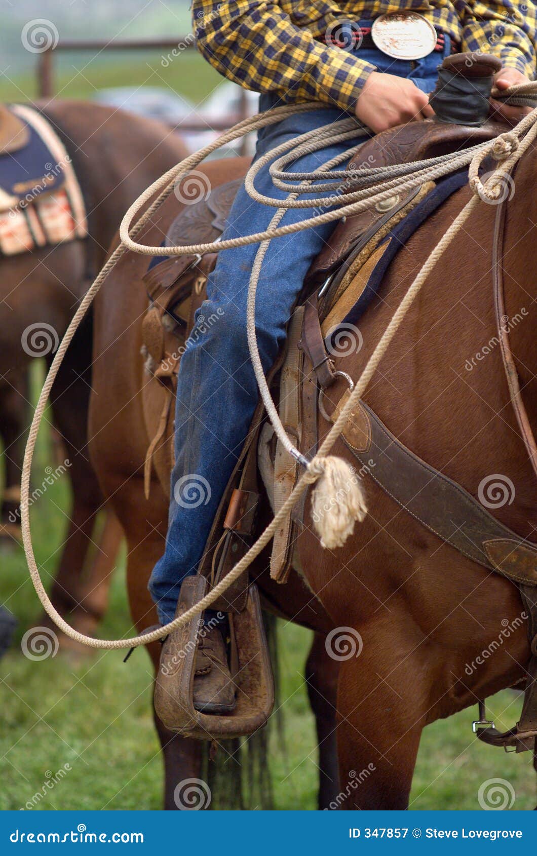Rodeo stock image. Image of rodeo, riding, rope, action - 347857