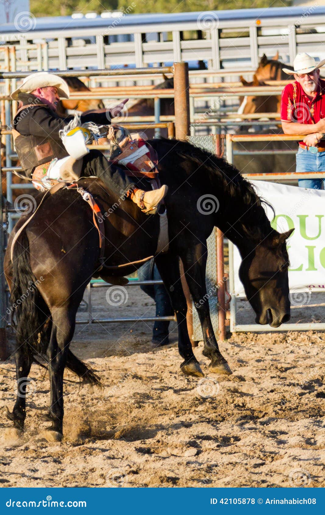 Rodeo redaktionelles stockfoto. Bild von sport, berg - 42105878