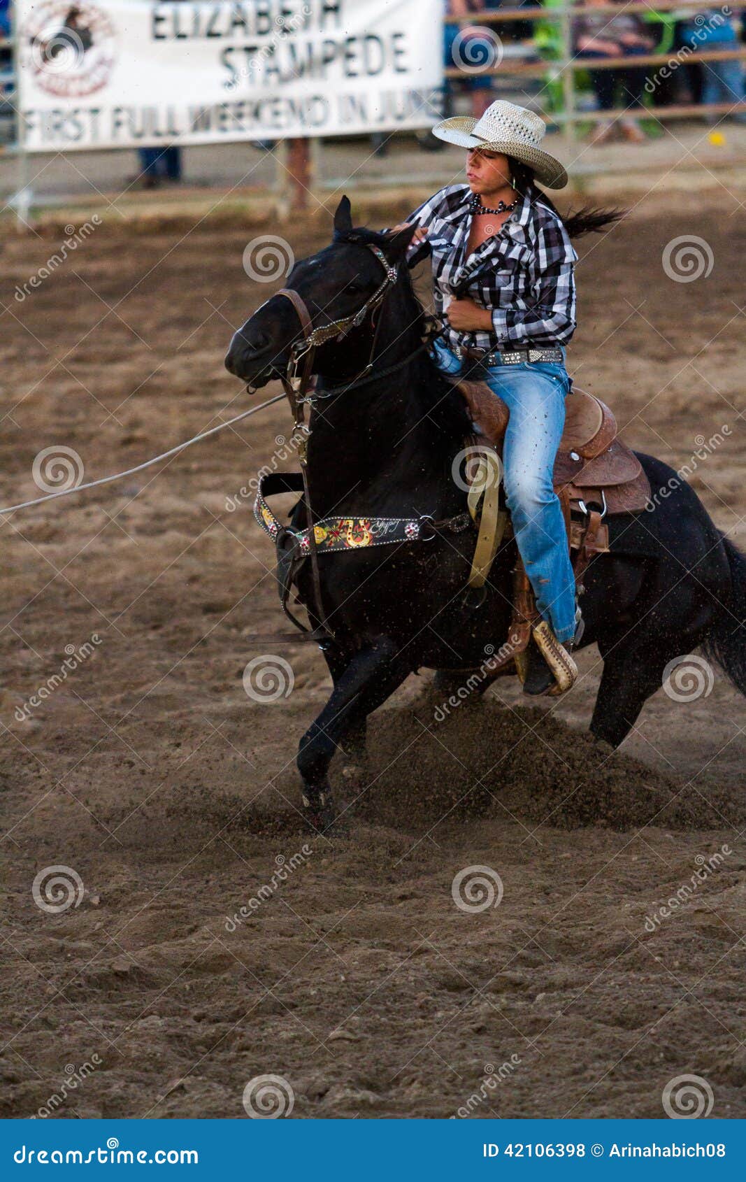 Rodeo foto de archivo editorial. Imagen de ganado, america - 42106398