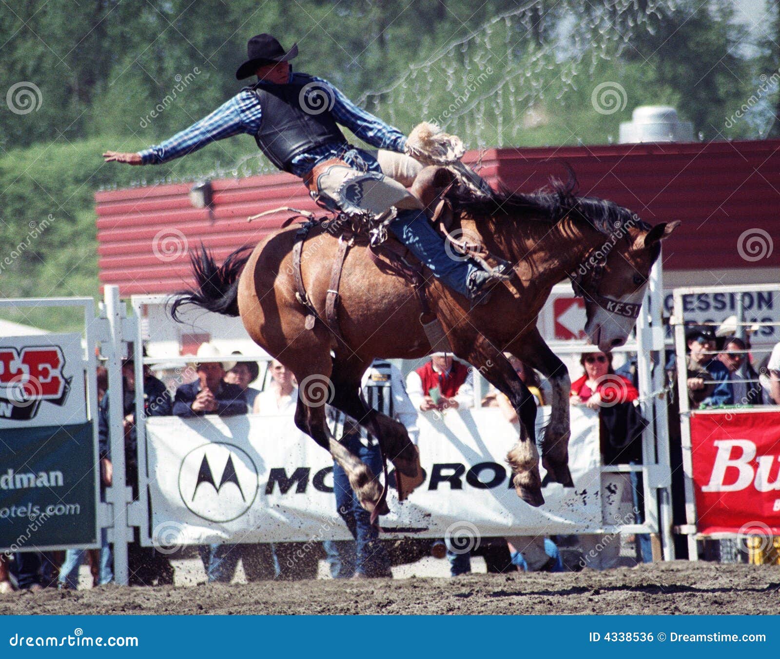Rodeo redaktionelles foto. Bild von west, cowboy, fahrt - 4338536