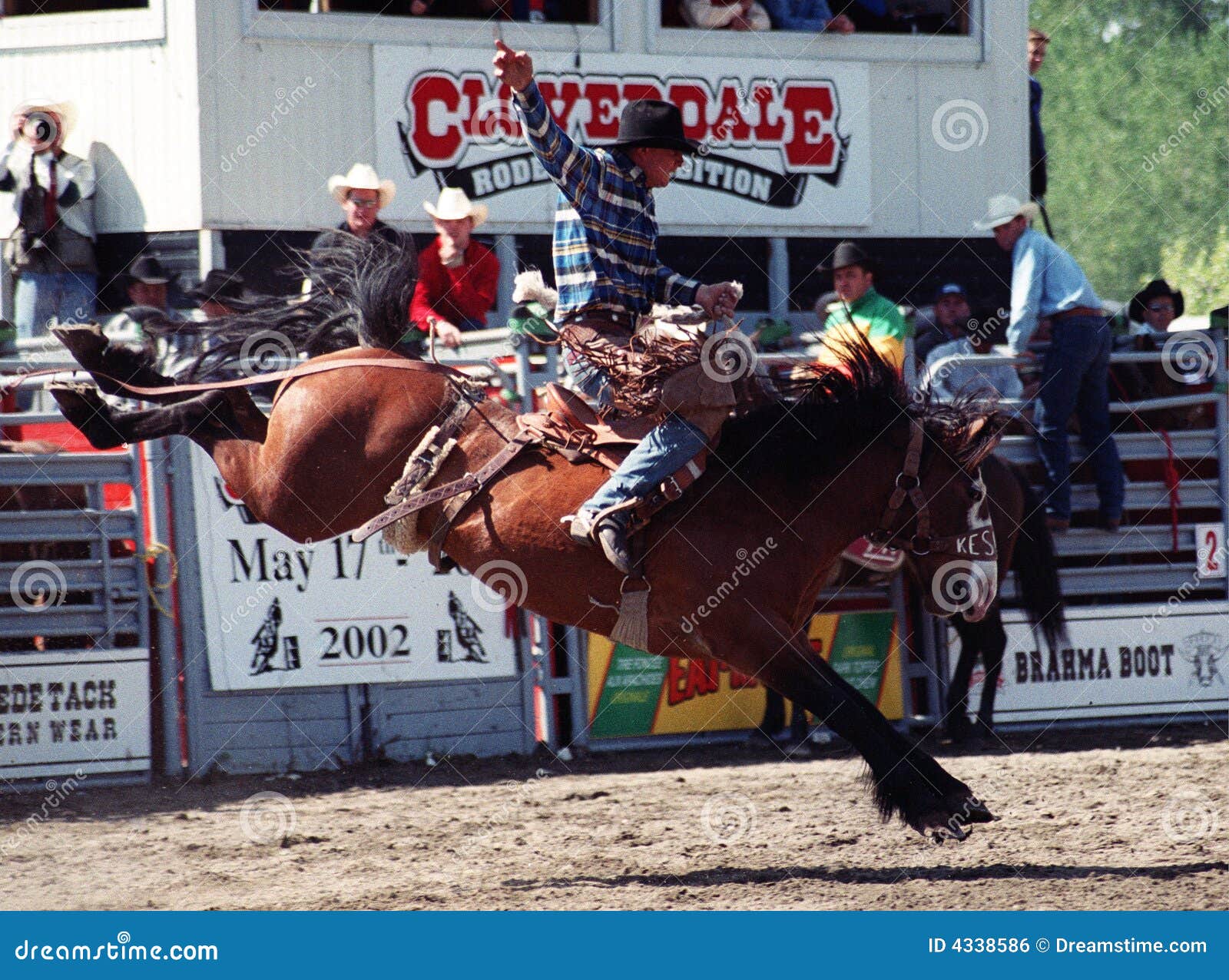 Rodeo redaktionelles foto. Bild von cowboys, männer, rodeo - 4338586