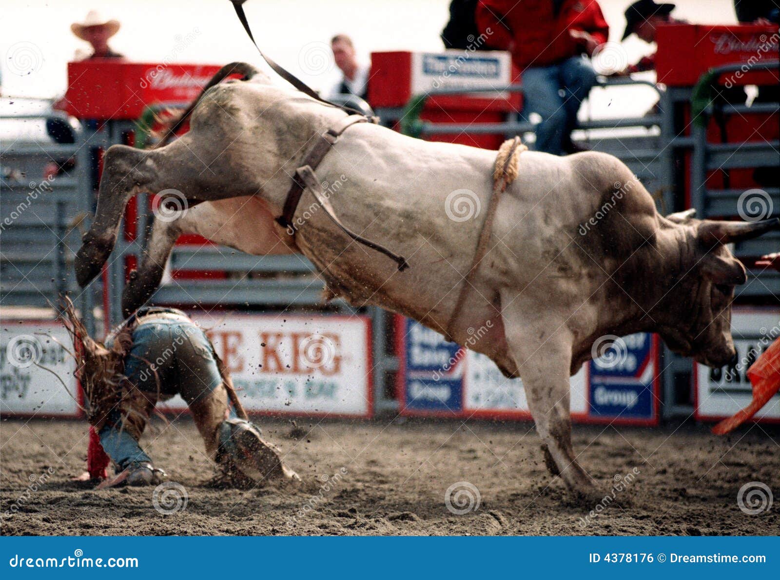 Rodeo editorial photo. Image of jump, animal, western - 4378176