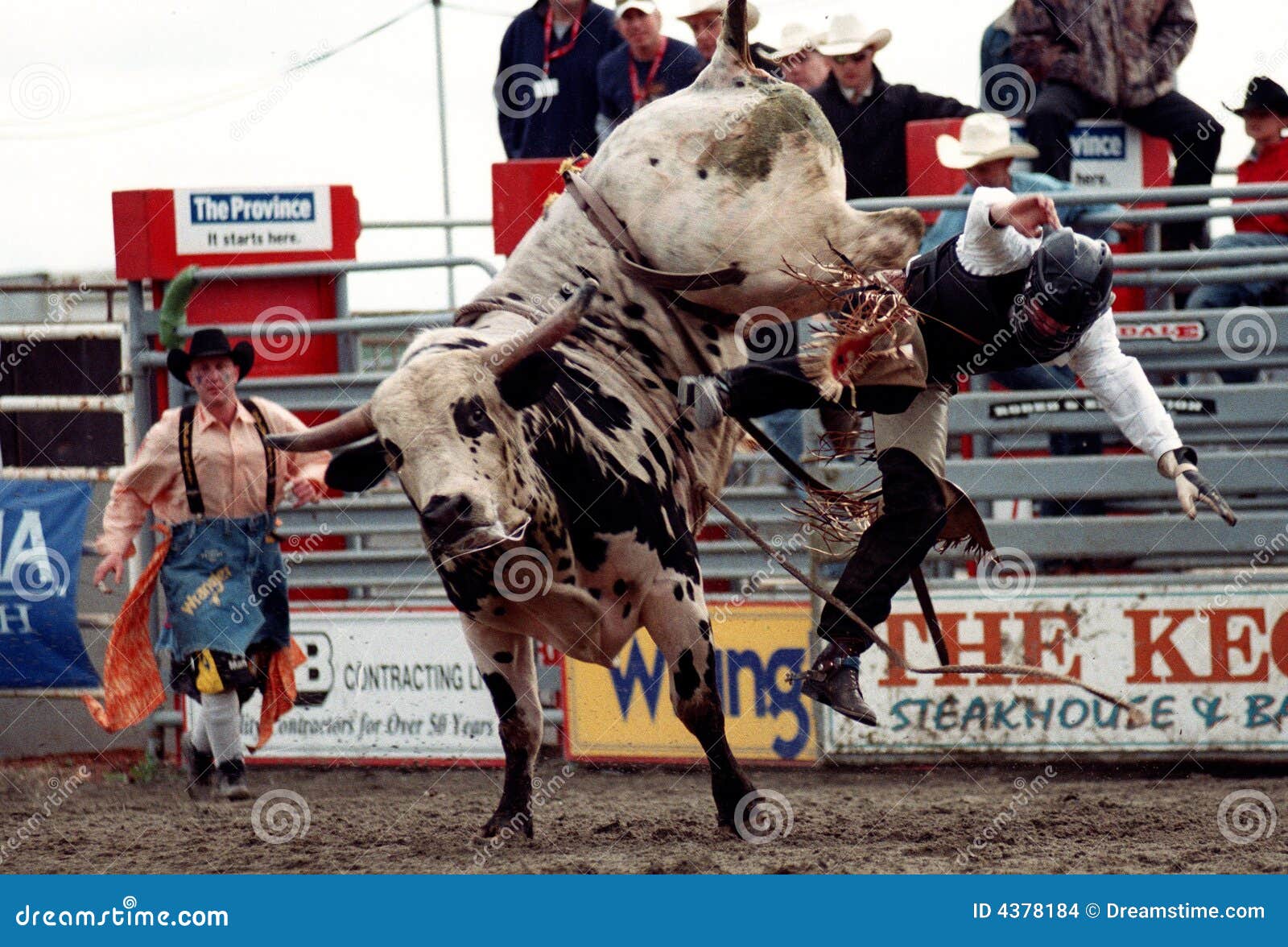 Rodeo imagen de archivo editorial. Imagen de vuelo, occidental - 4378184