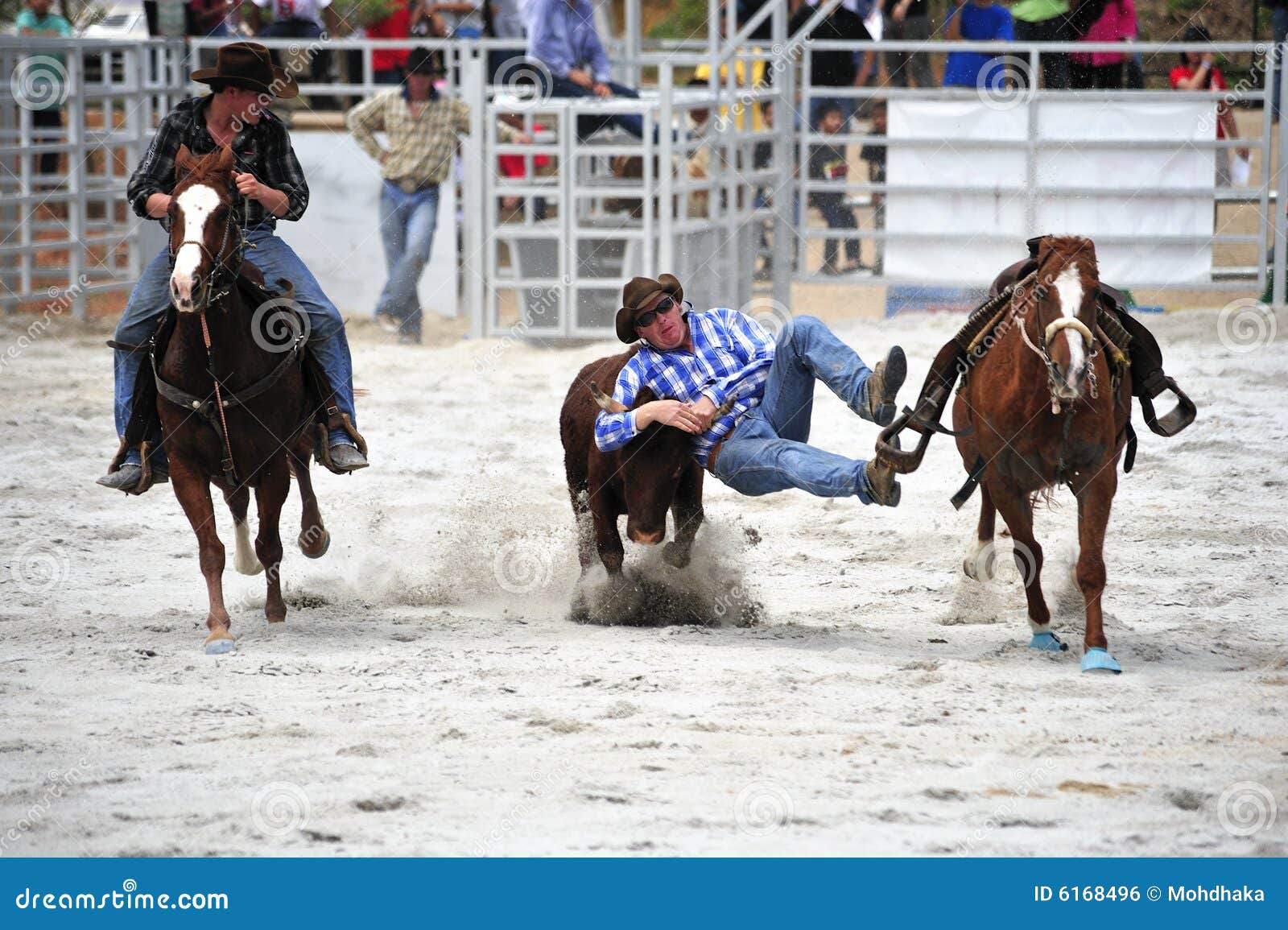 Rodeo editorial photo. Image of cowboy, male, action, arena - 6168496