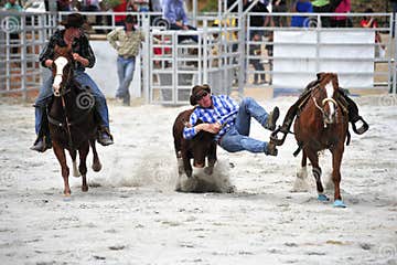 Rodeo editorial photo. Image of cowboy, male, action, arena - 6168496