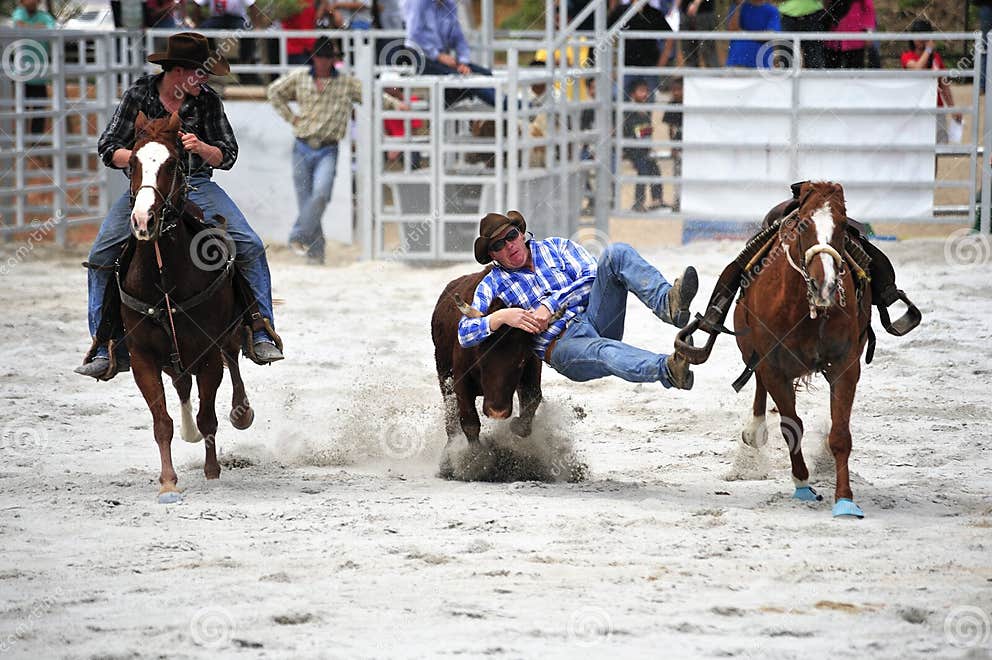 Rodeo editorial photo. Image of cowboy, male, action, arena - 6168496